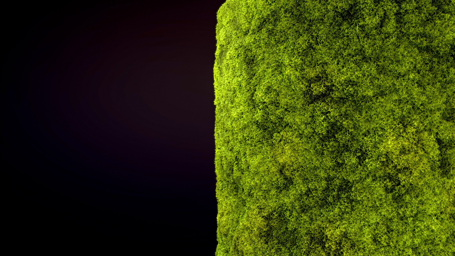 Seamless PBR Moss Substance Material Textures 3D Model - TurboSquid 2356275