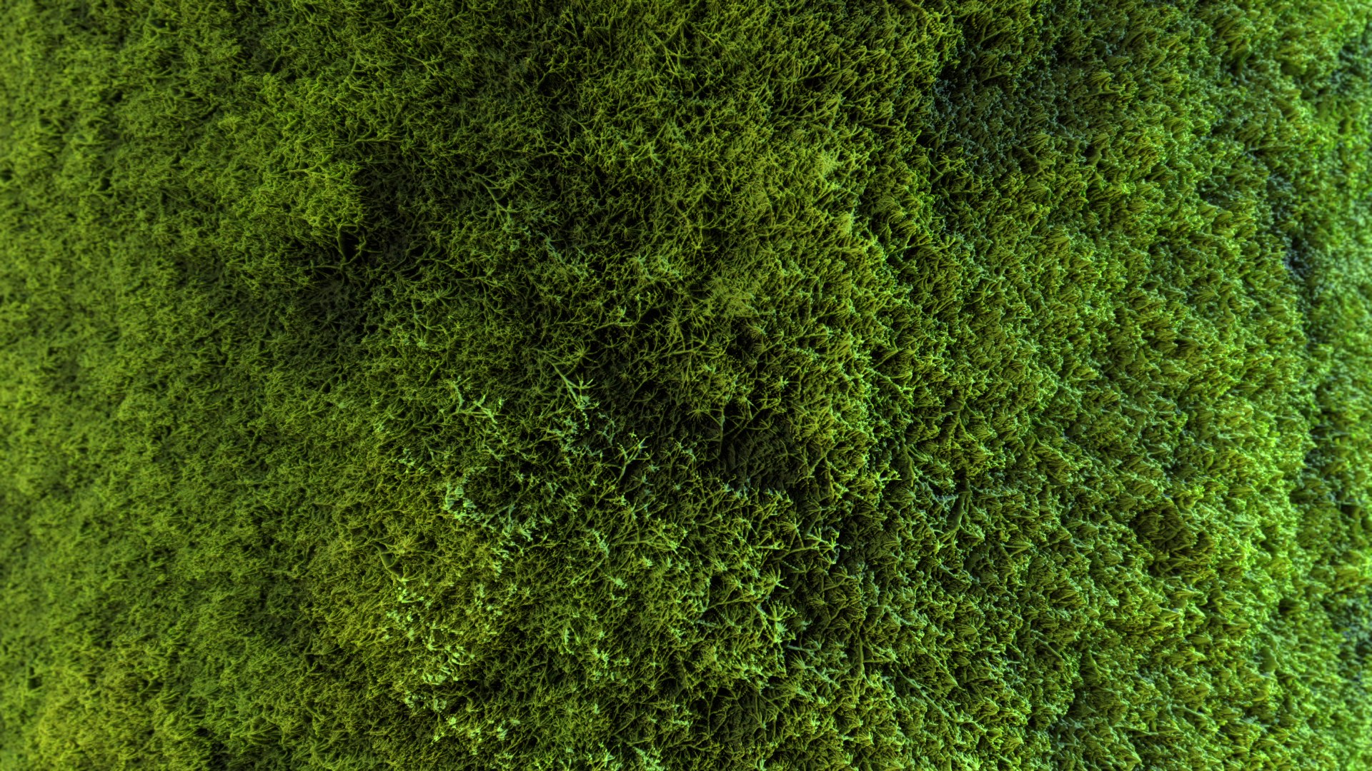 Seamless PBR Moss Substance Material Textures 3D Model - TurboSquid 2356275