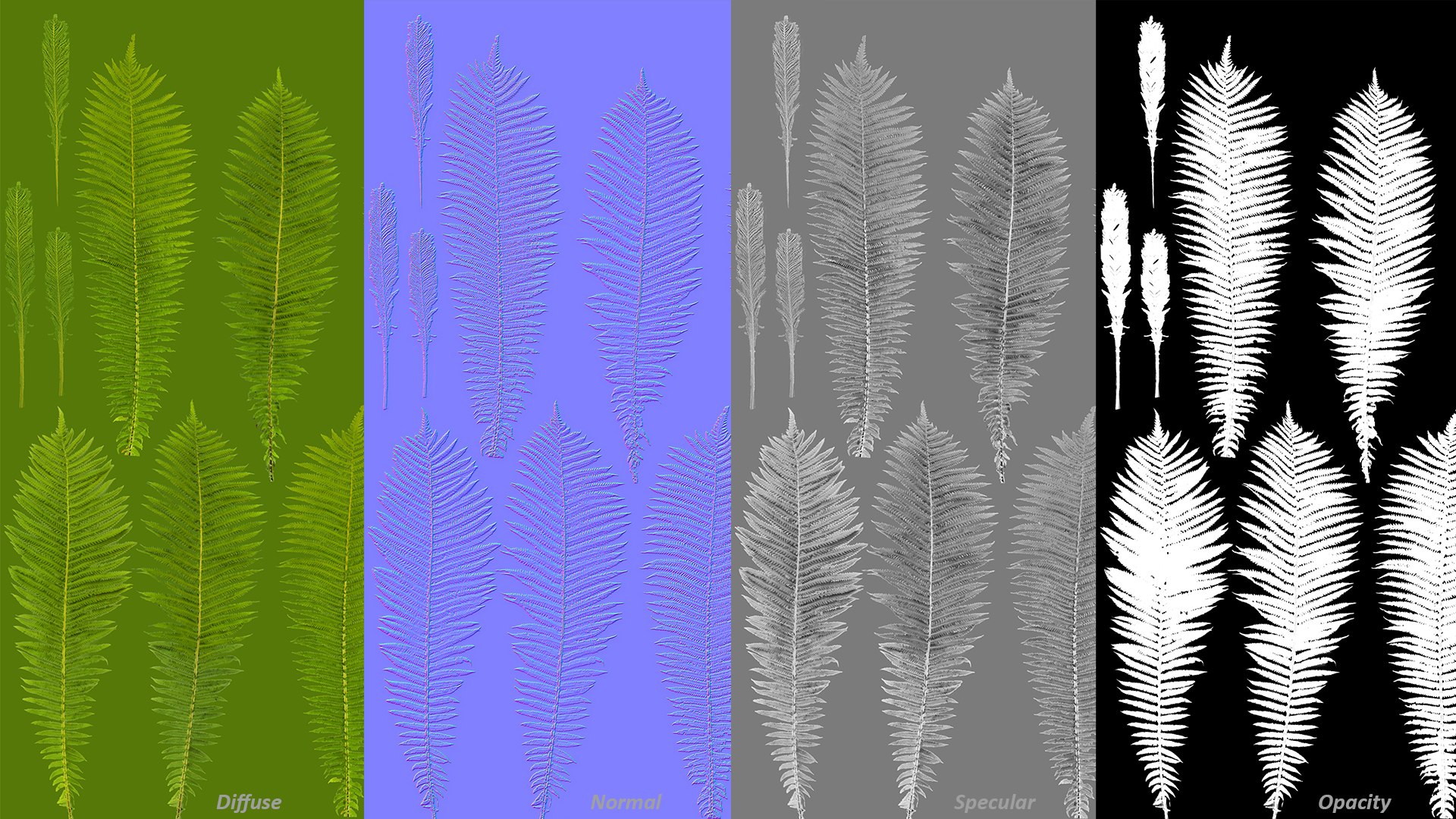 Fern plants nature model - TurboSquid 1627253
