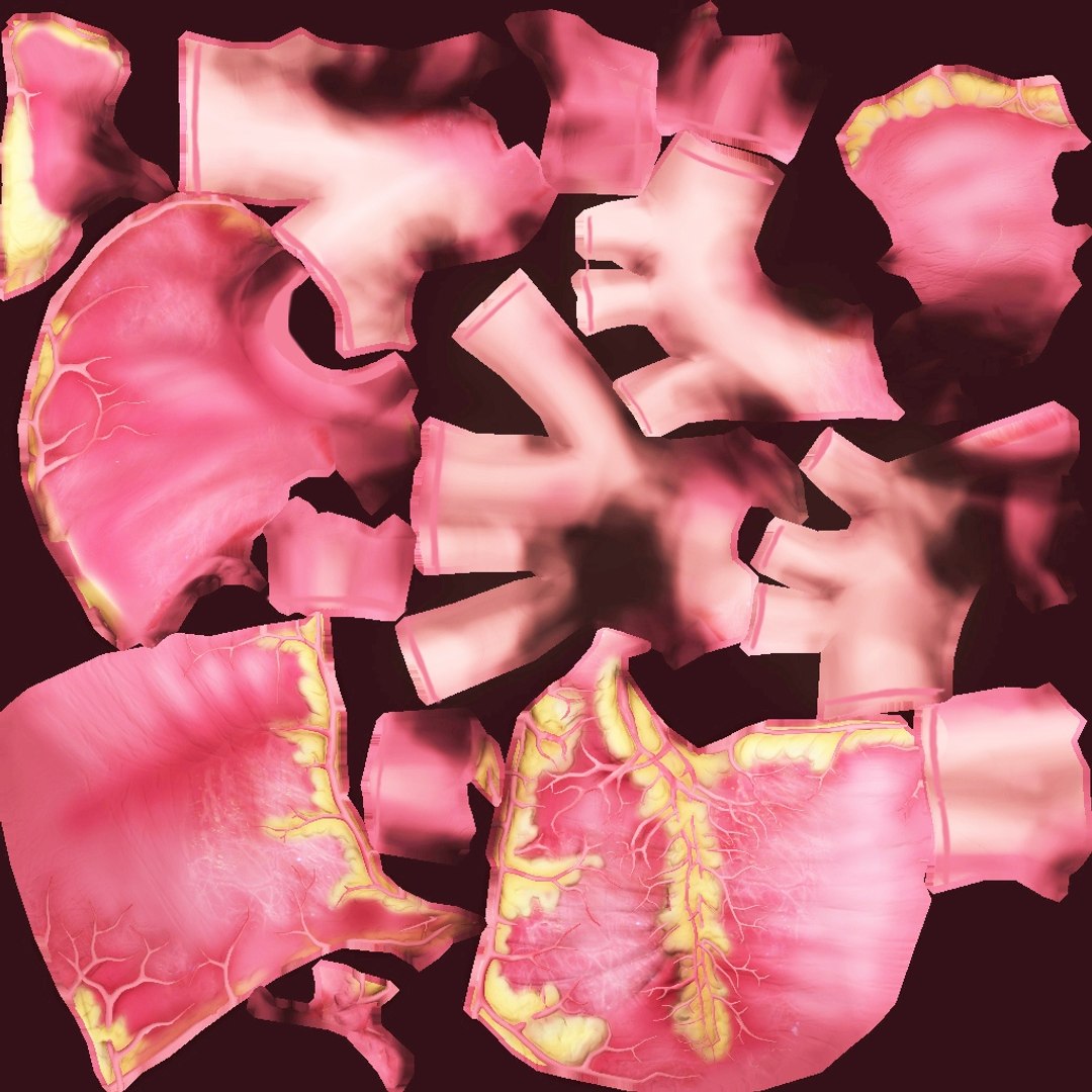 3d human heart