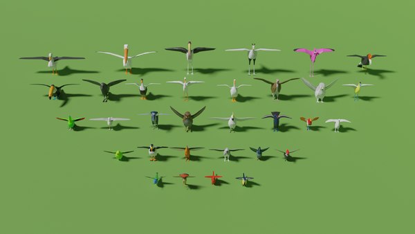 Cartoon Bird 3D Models for Download | TurboSquid
