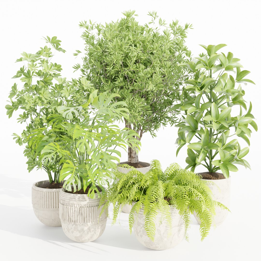 Indoor Outdoor Plants Collection Vol 105-Blender 3D Model - TurboSquid ...