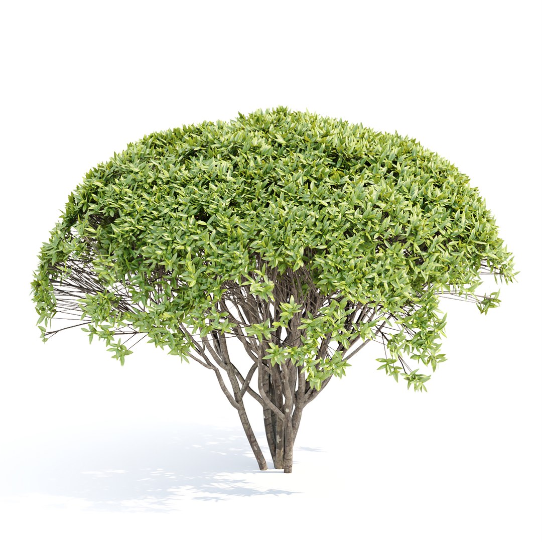 Green Bushes collection vol 193 3D - TurboSquid 2039623