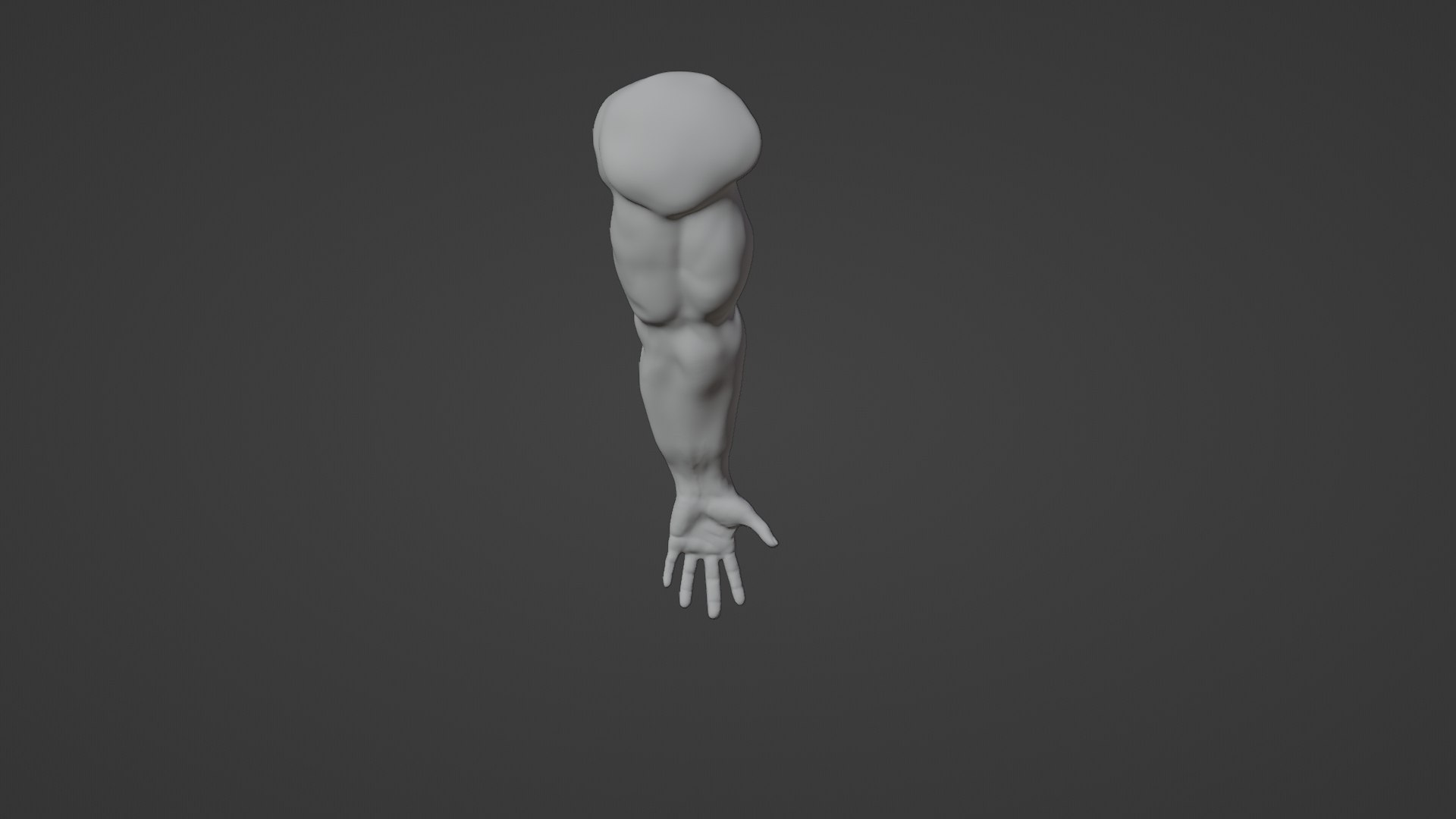 3D Buffed Arm Bodybuilder Arm - TurboSquid 2055043