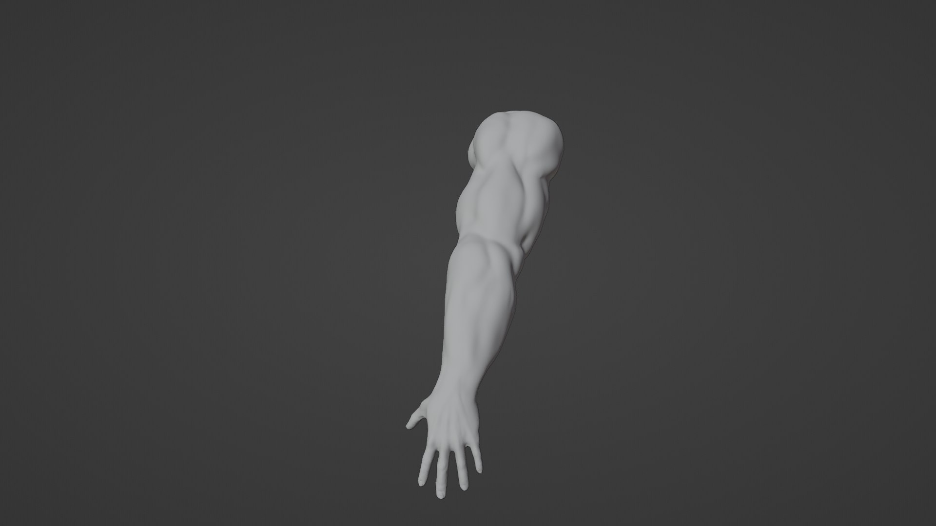 3D Buffed Arm Bodybuilder Arm - TurboSquid 2055043