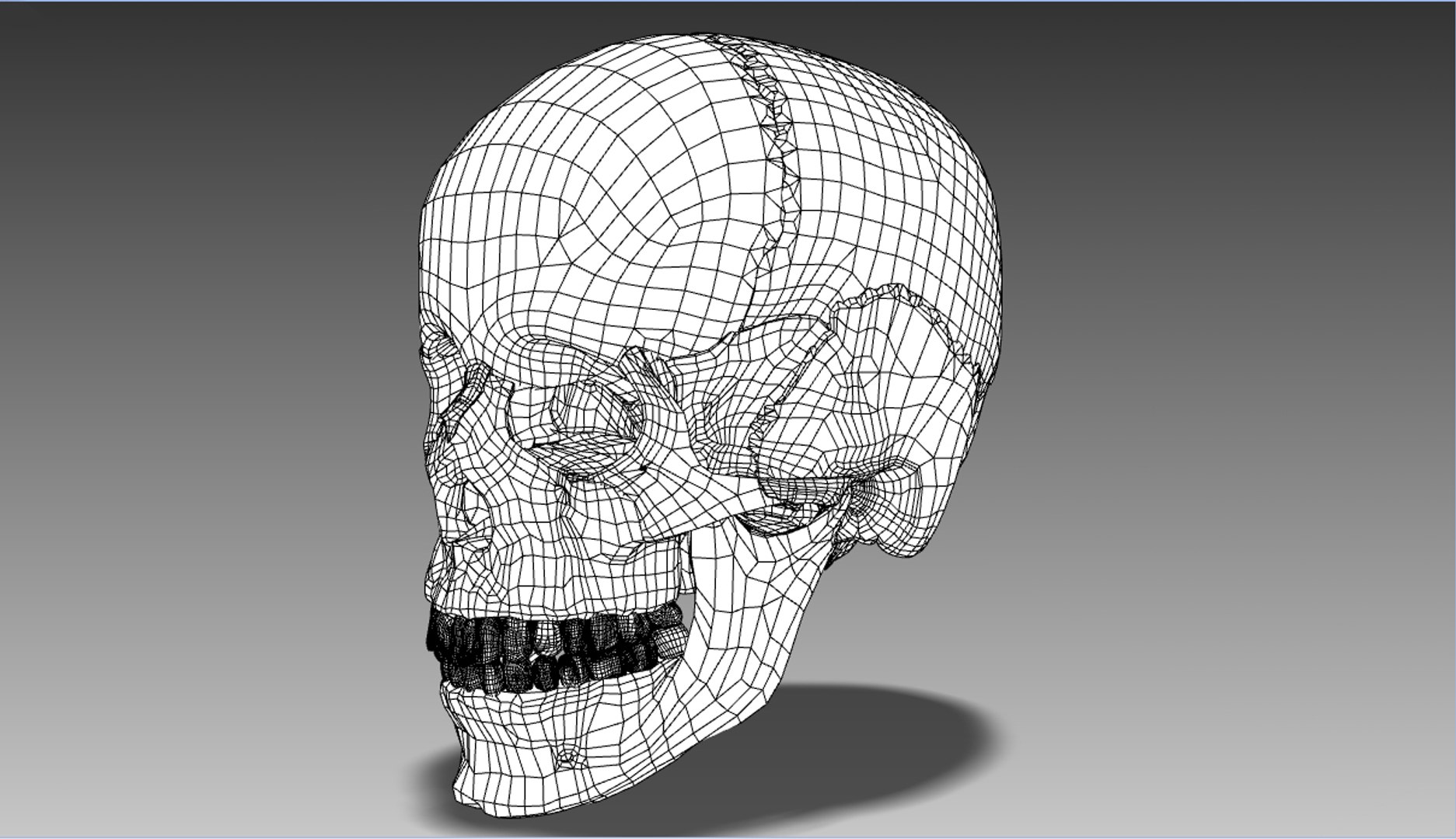 3ds Max Skull