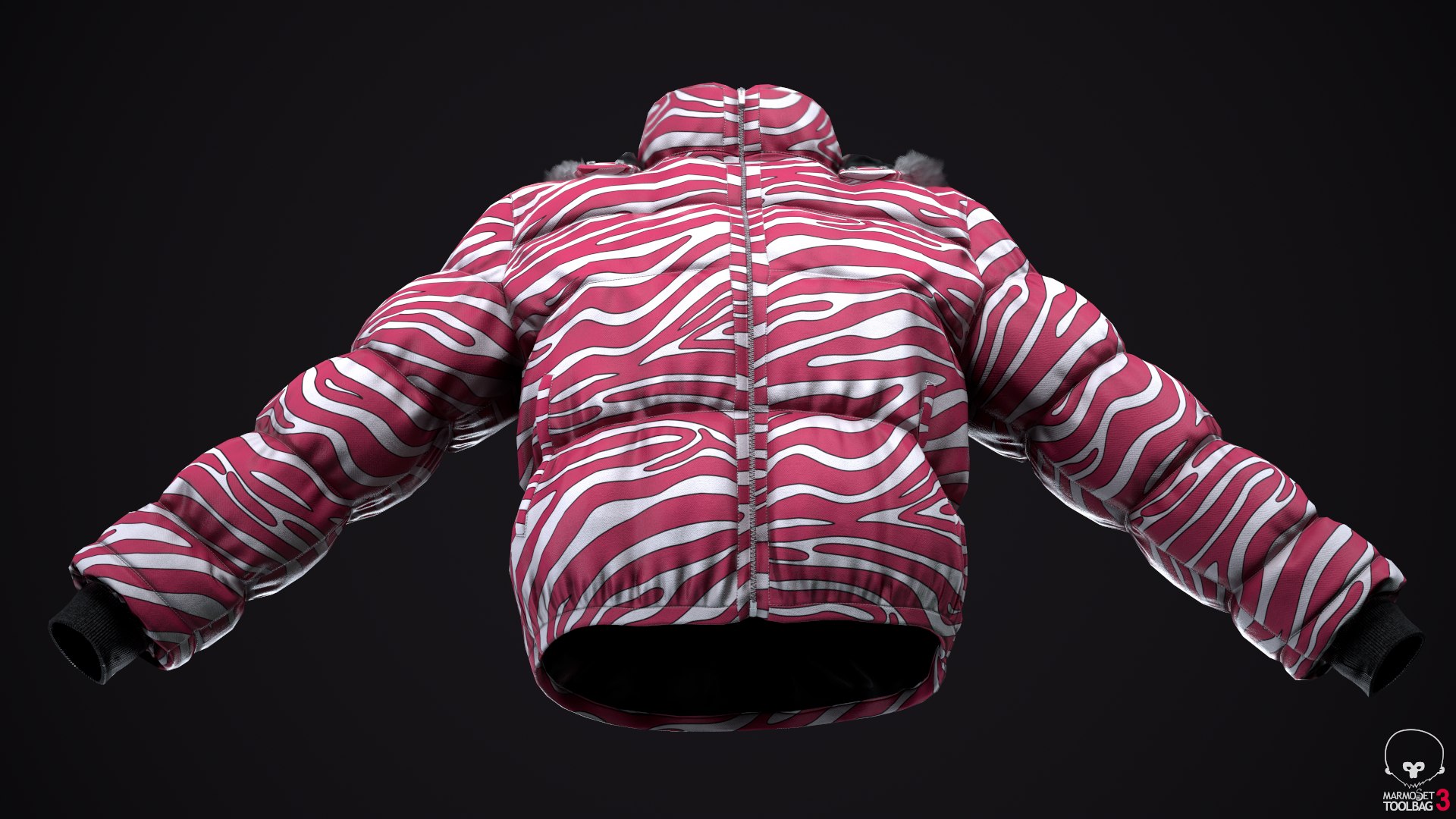 Winter Jacket 3D Model - TurboSquid 1787700