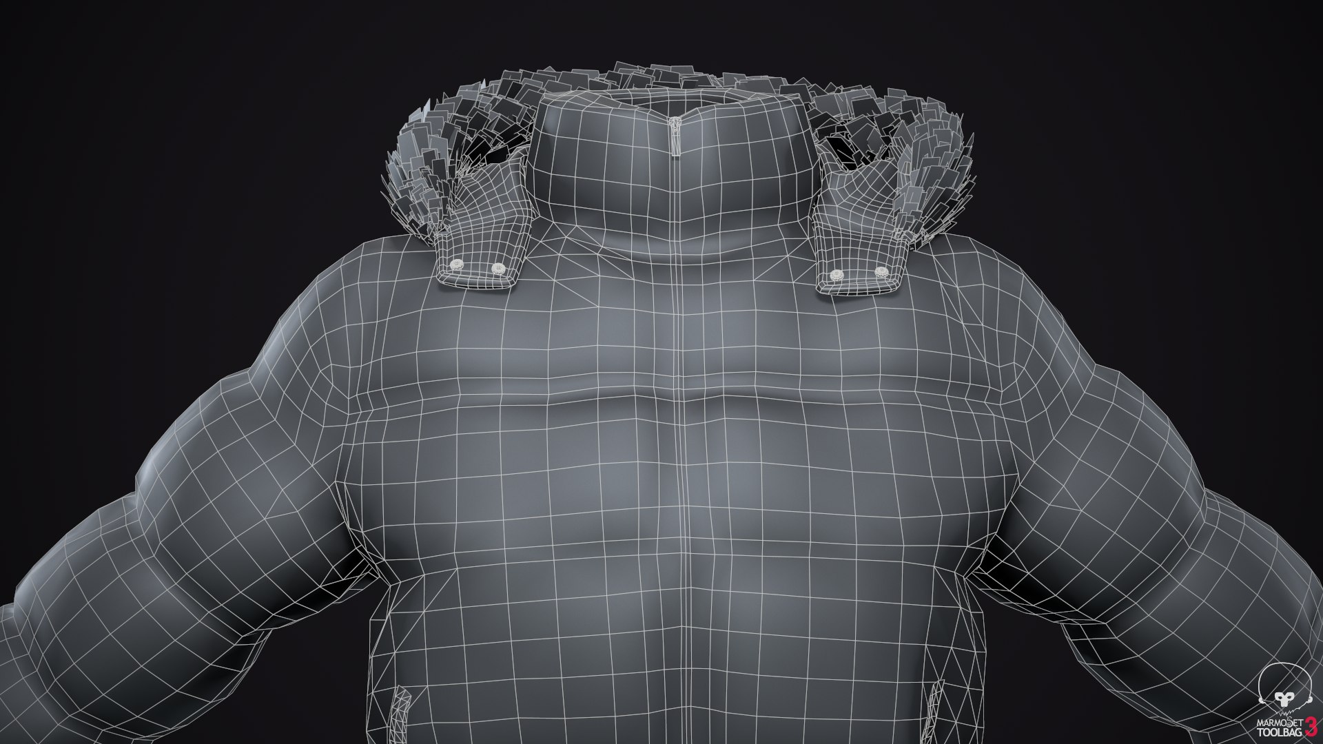 Winter Jacket 3D Model - TurboSquid 1787700