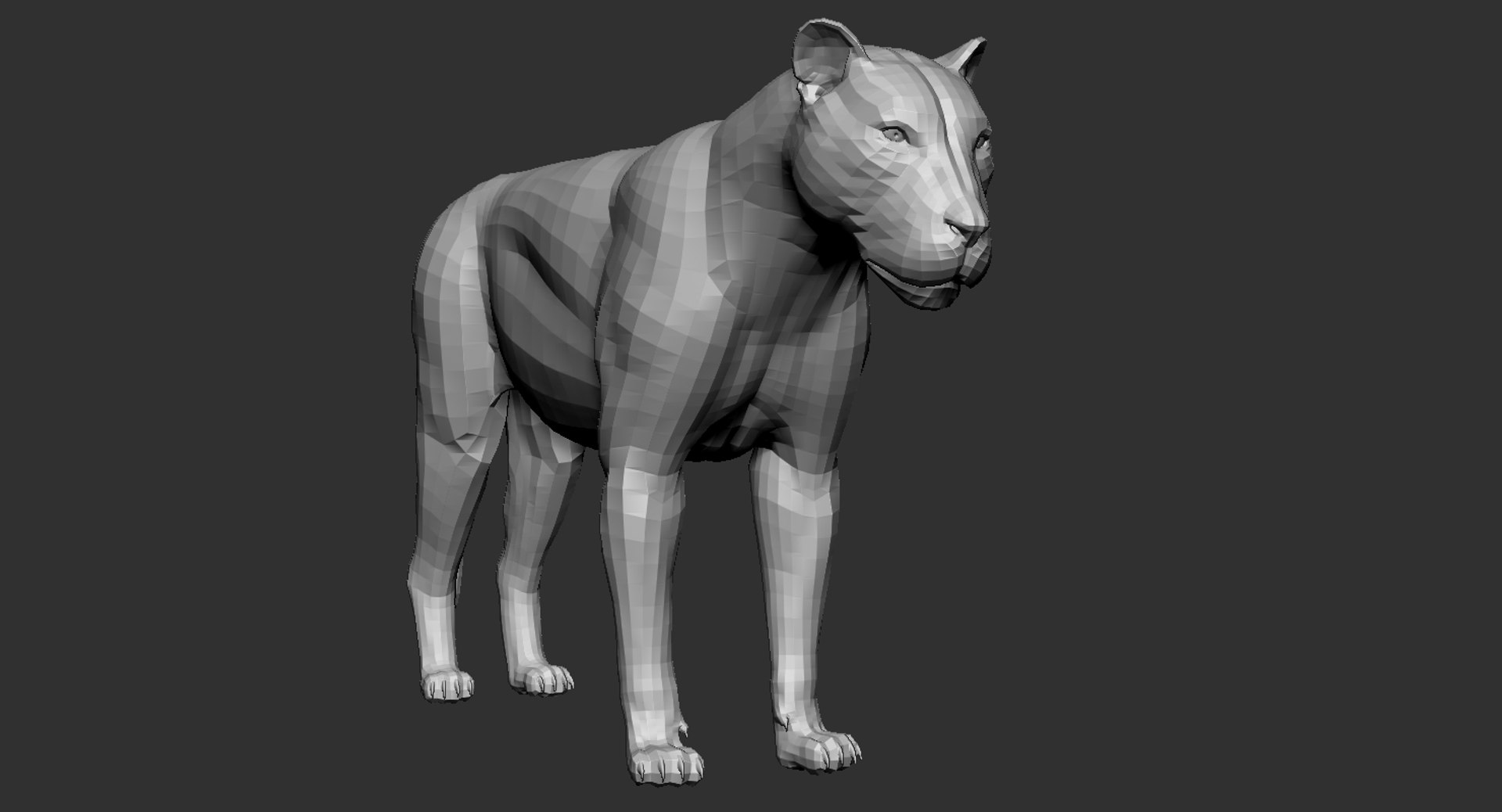 Lion Anatomy Body Character 3D Model - TurboSquid 1431423
