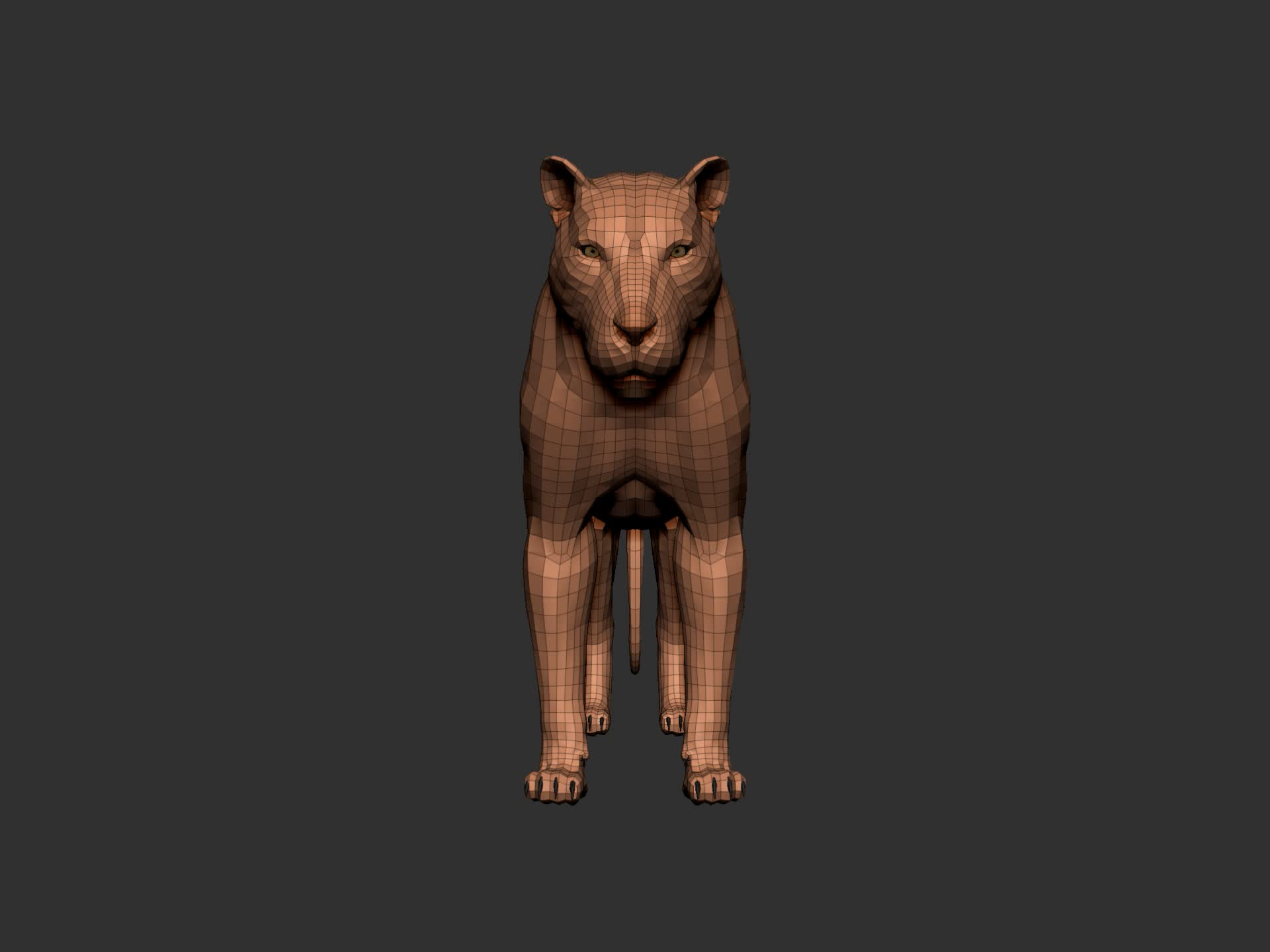 modelo 3d Lion Body Base Mesh 2019 - TurboSquid 1431423