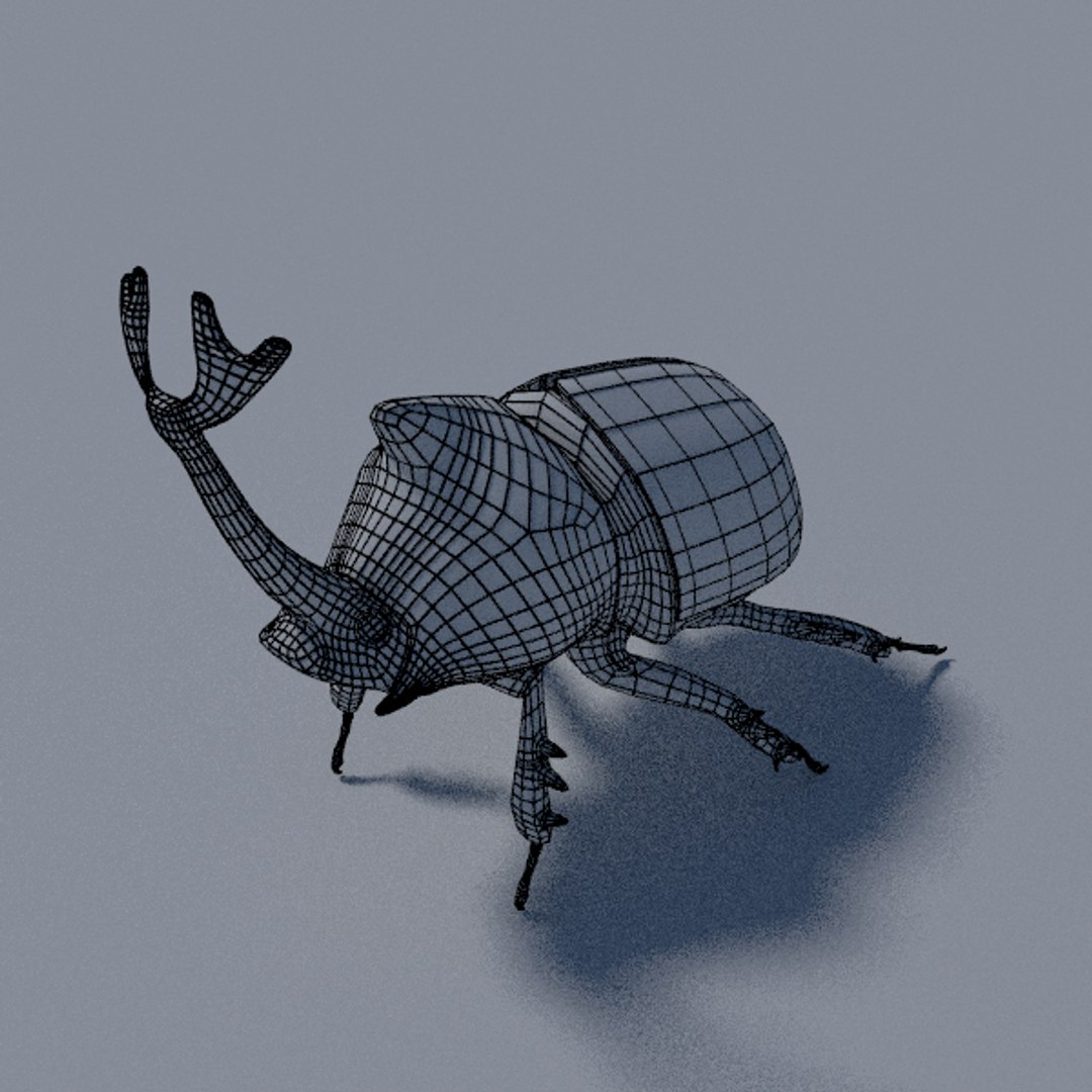 Insect Pack 2 3d Model