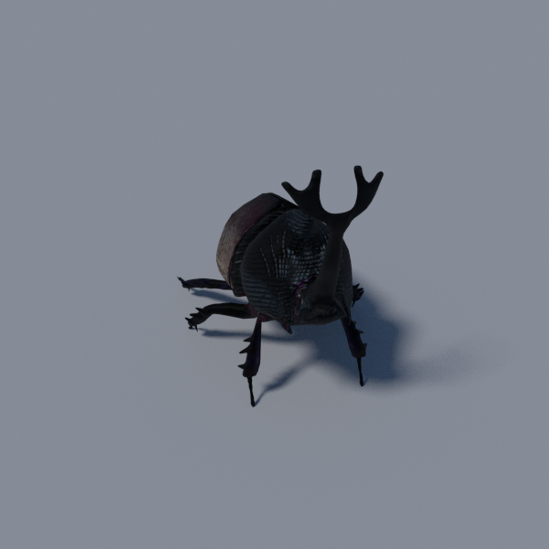 Insect Pack 2 3d Model