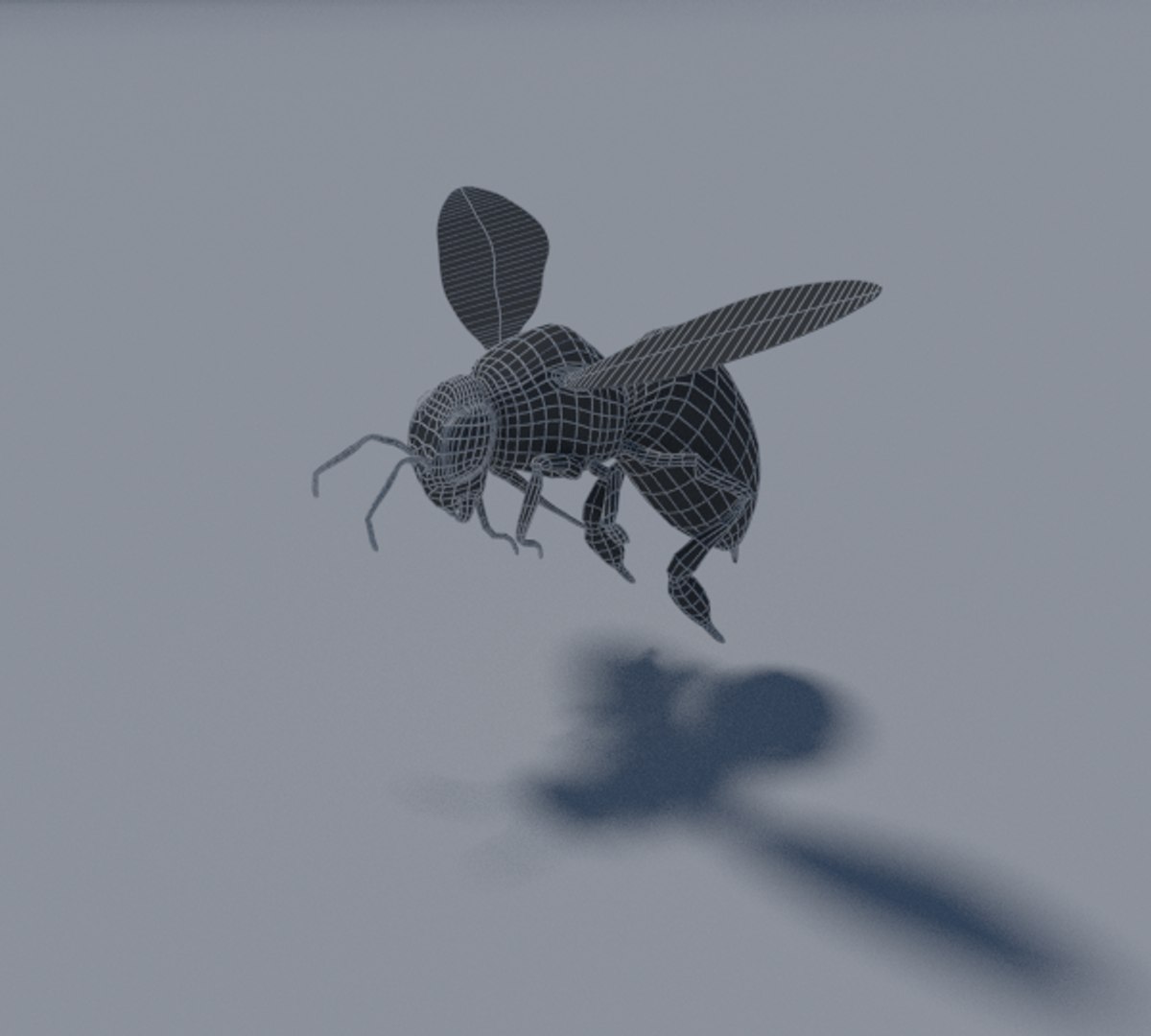 Insect Pack 2 3d Model