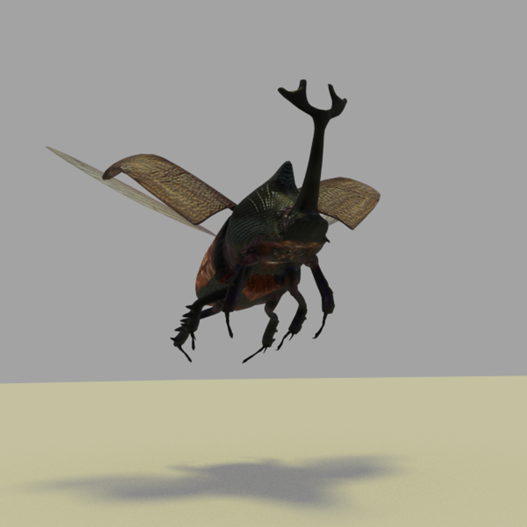 Insect Pack 2 3d Model