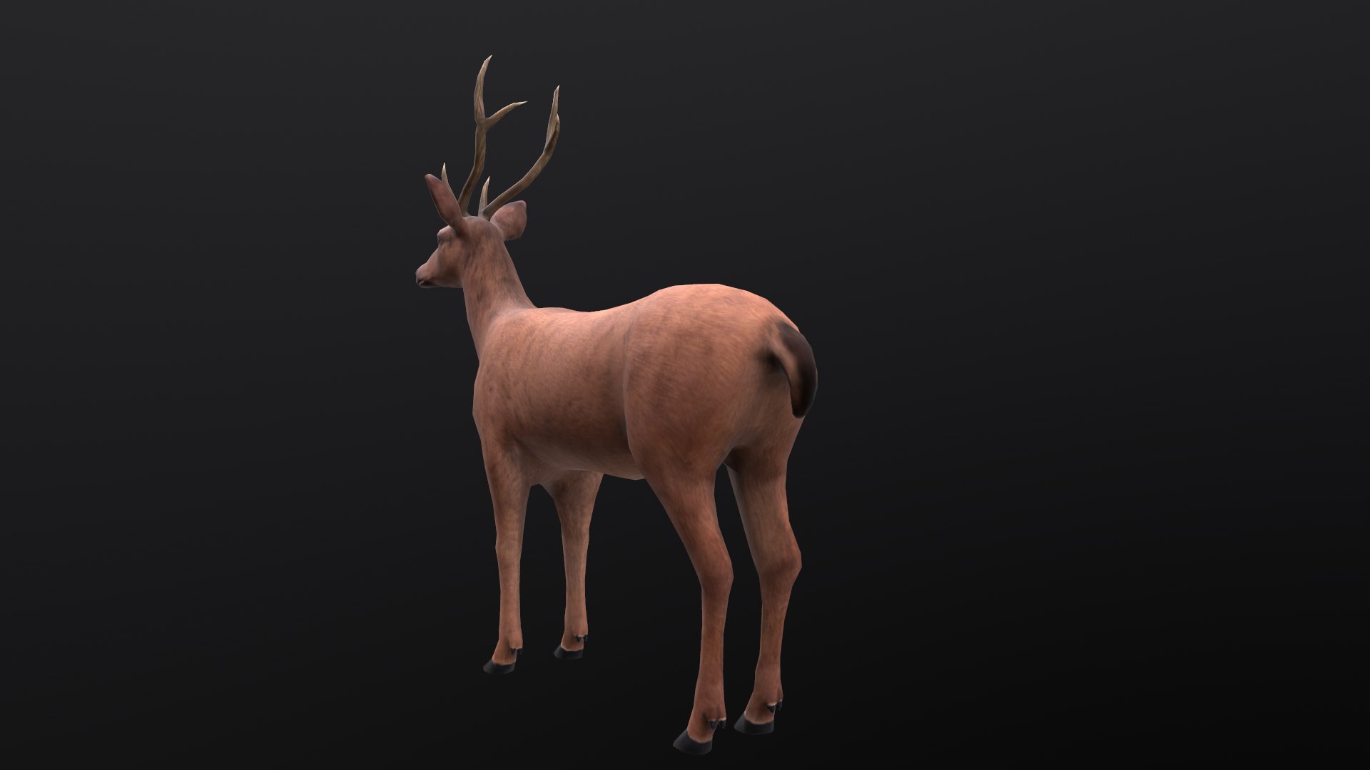 Animated Stag 3D - TurboSquid 2153080