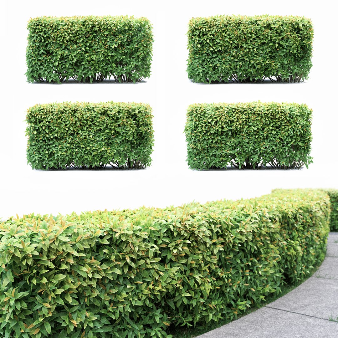 3D Hedge - TurboSquid 1264998