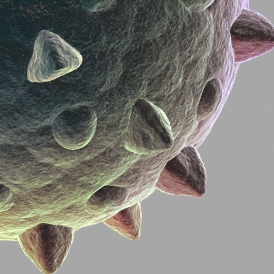 3d Model Of Pollen Spore