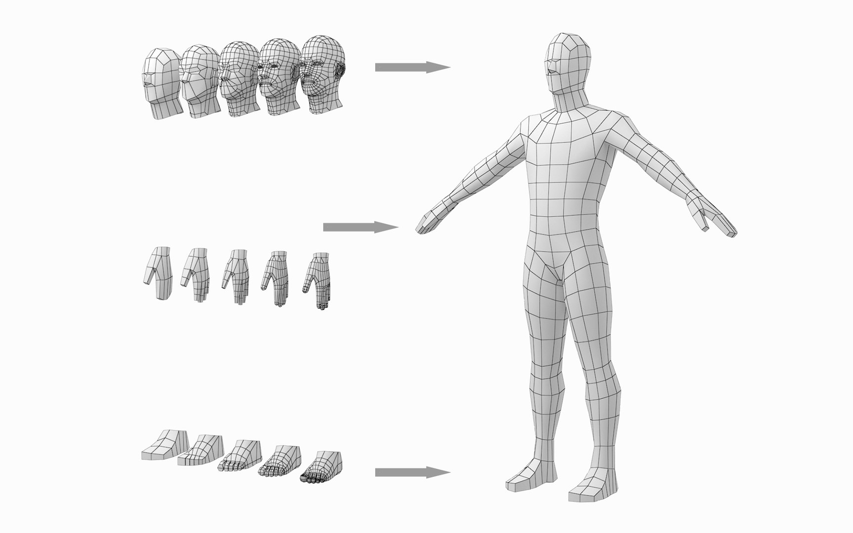Natural Male In A-Pose In 5 Topologies 3D Model - TurboSquid 2121181
