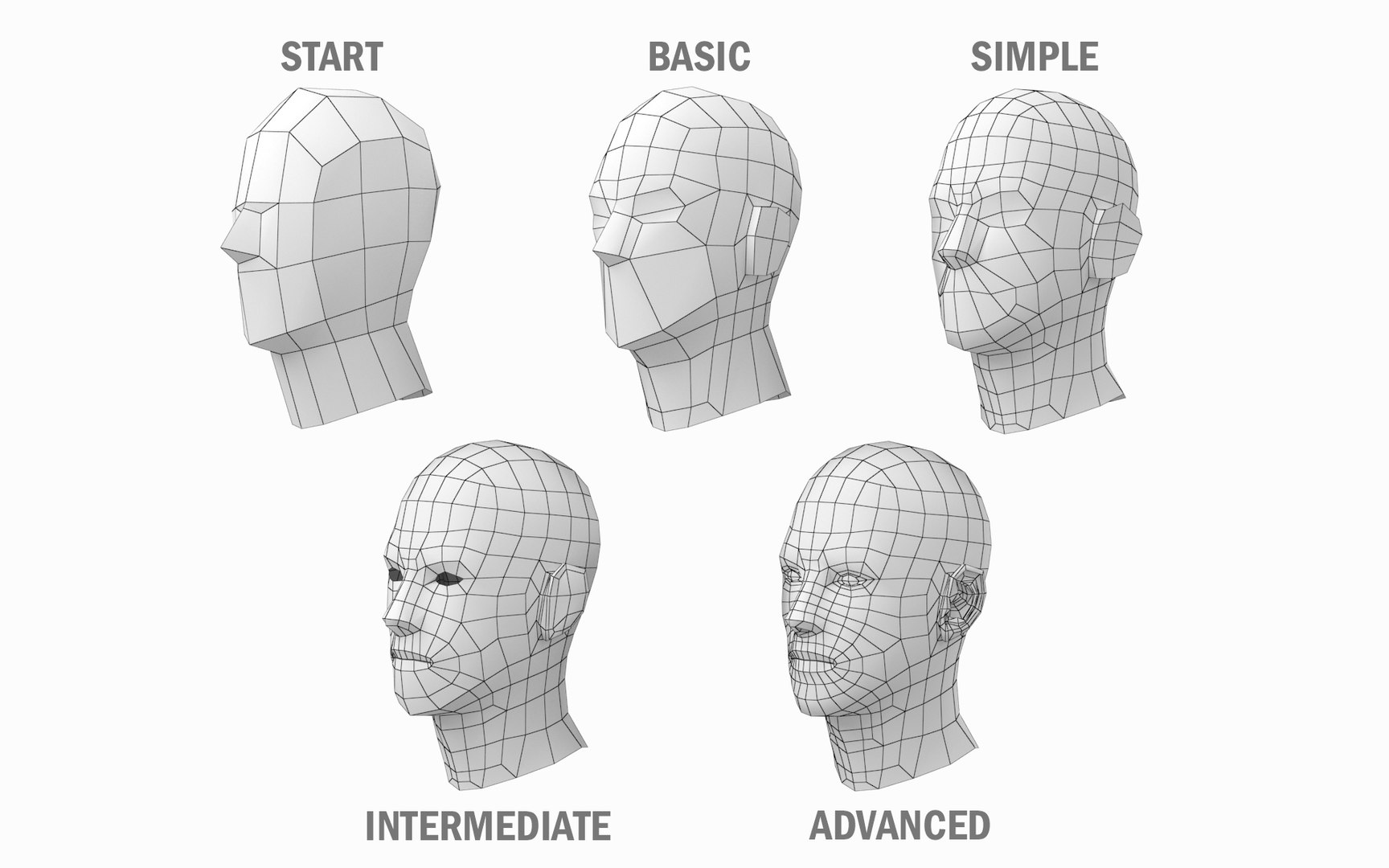 Natural Male In A-Pose In 5 Topologies 3D Model - TurboSquid 2121181