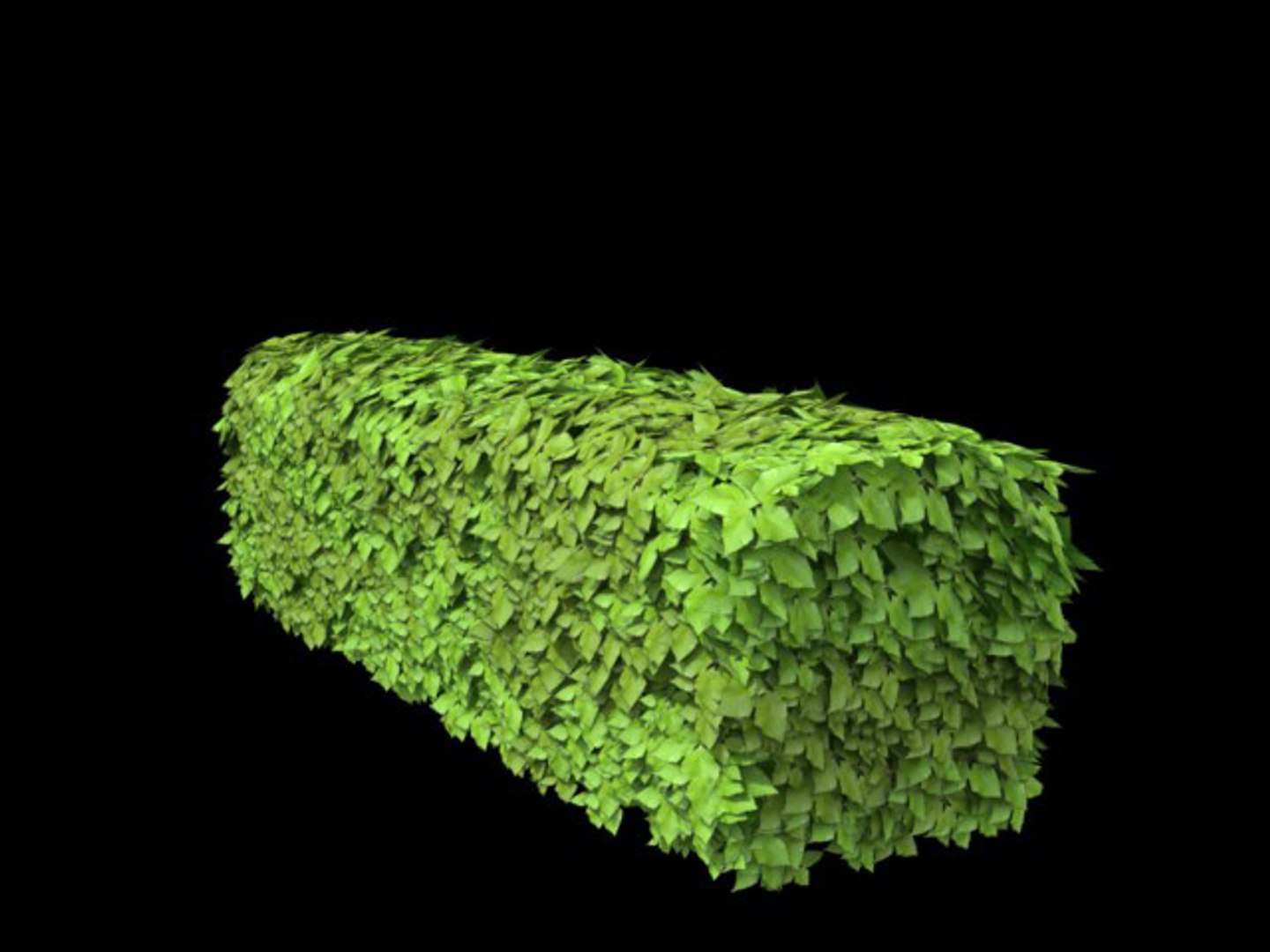 hedge plant 3d max