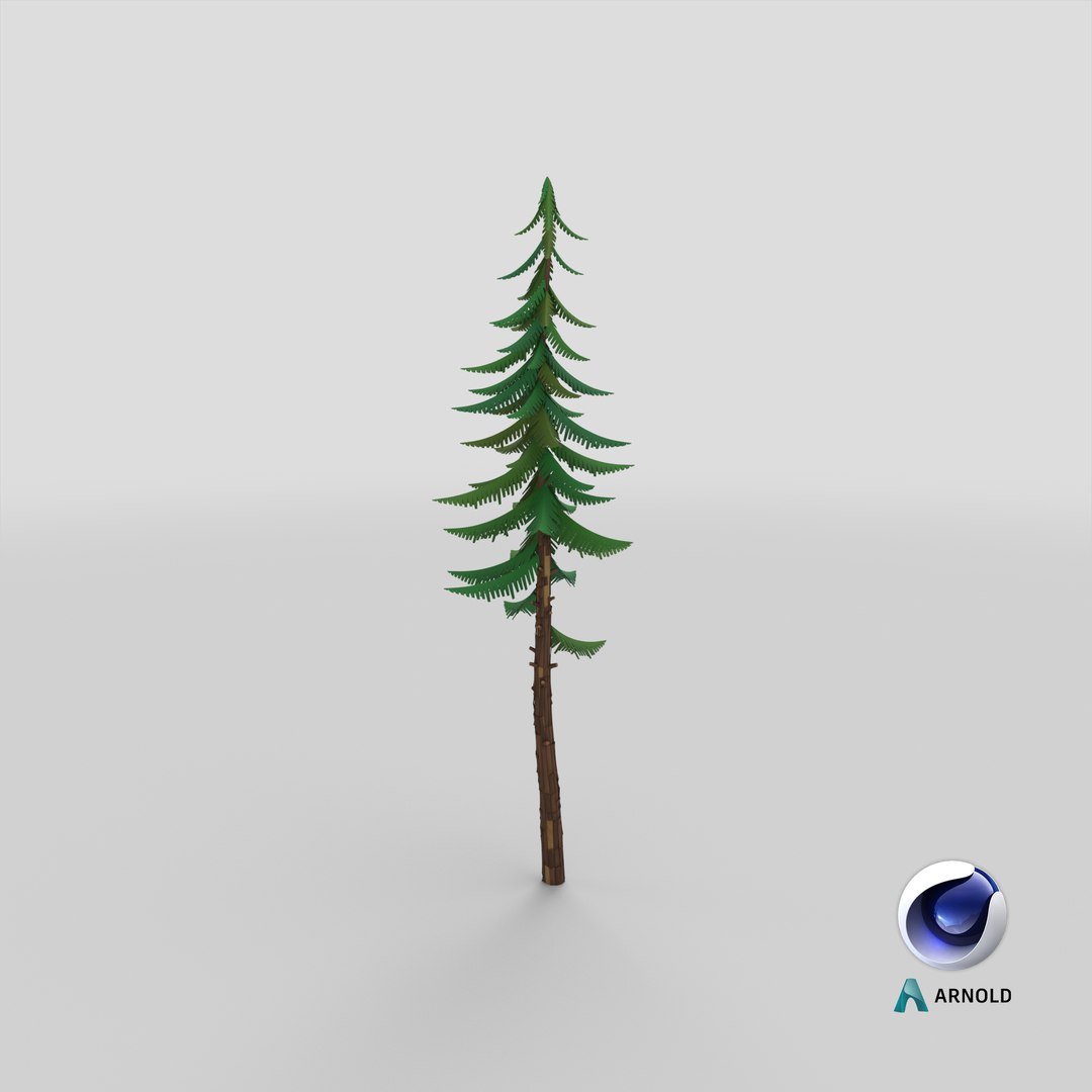 3D Cartoon Pine 01 - TurboSquid 1949180
