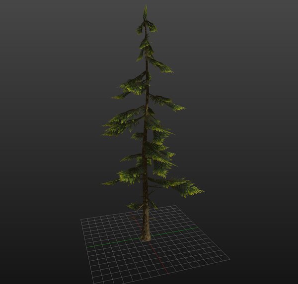3d trees branches