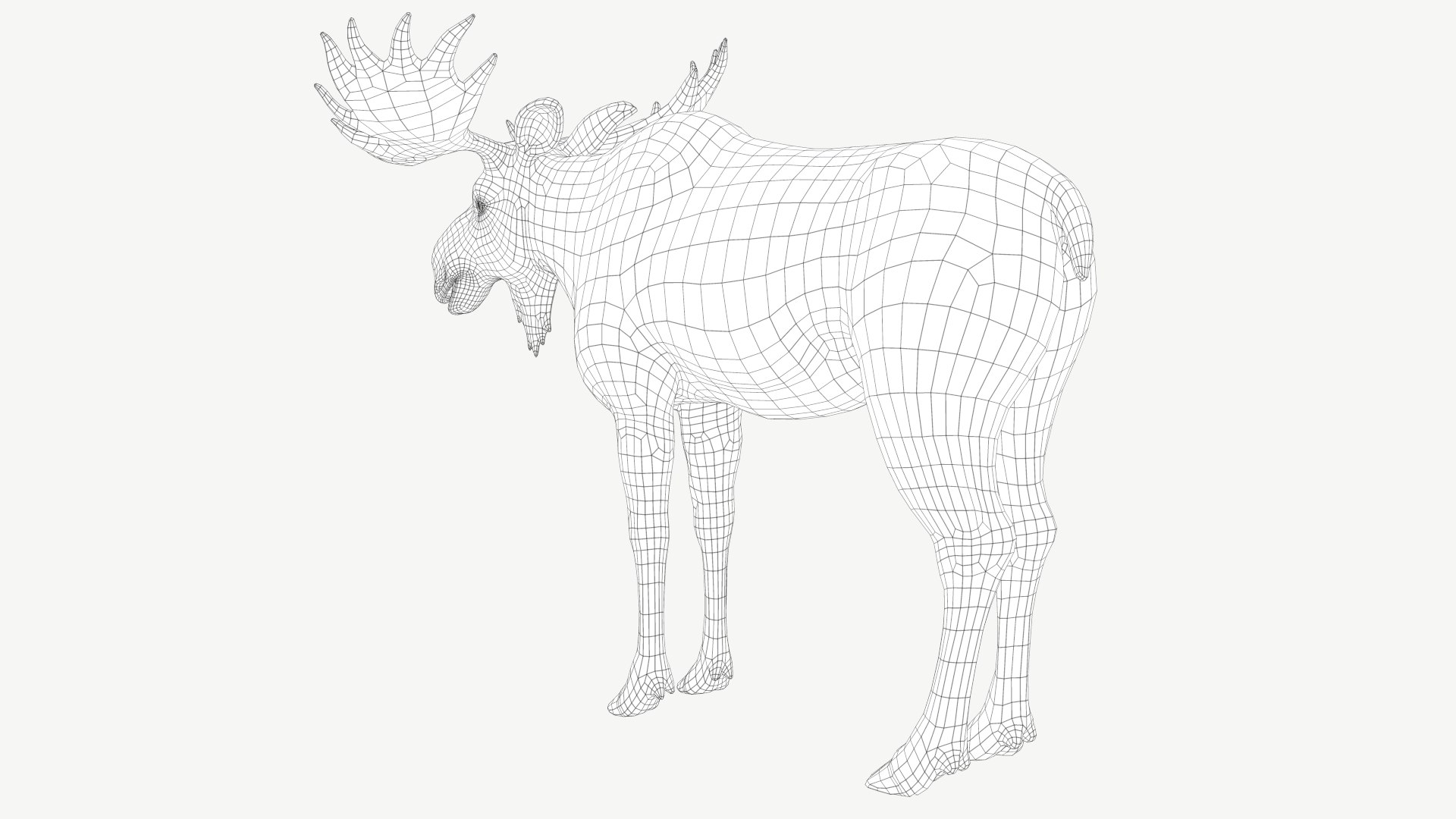 Moose 3D Model - TurboSquid 1847334