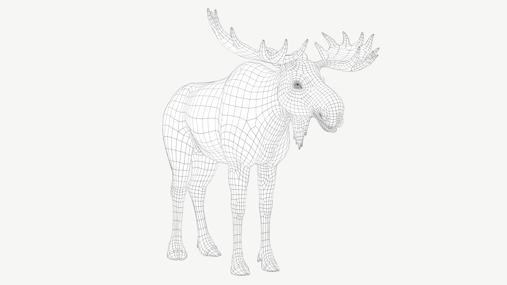 Moose 3D Model - TurboSquid 1847334