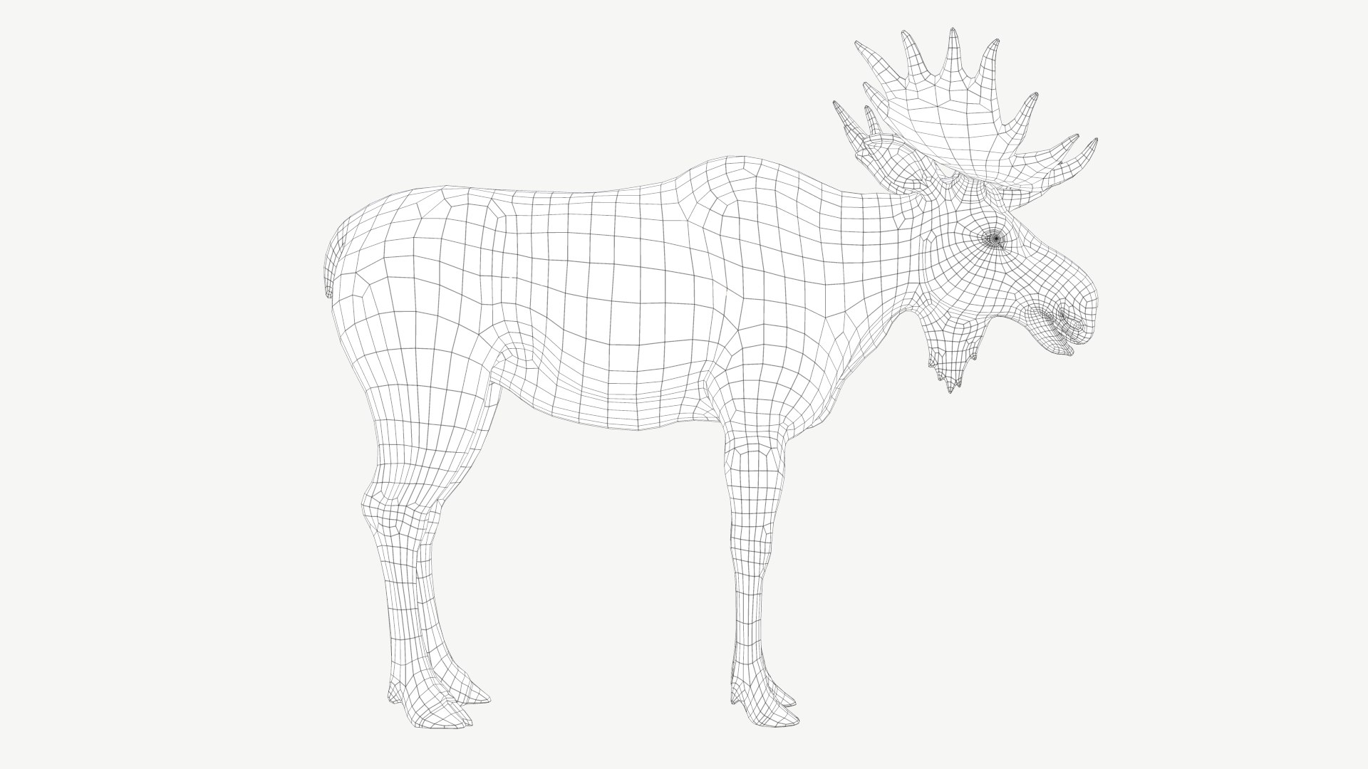Moose 3D Model - TurboSquid 1847334