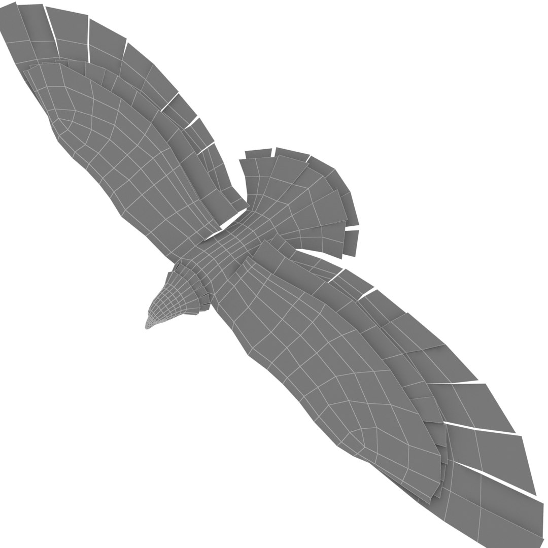 3D Eagle Bird - TurboSquid 1443810