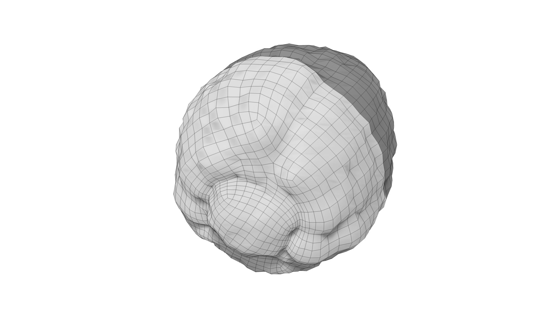 Citron Citrus medica - Extreme Definition 3D Scanned 3D model ...