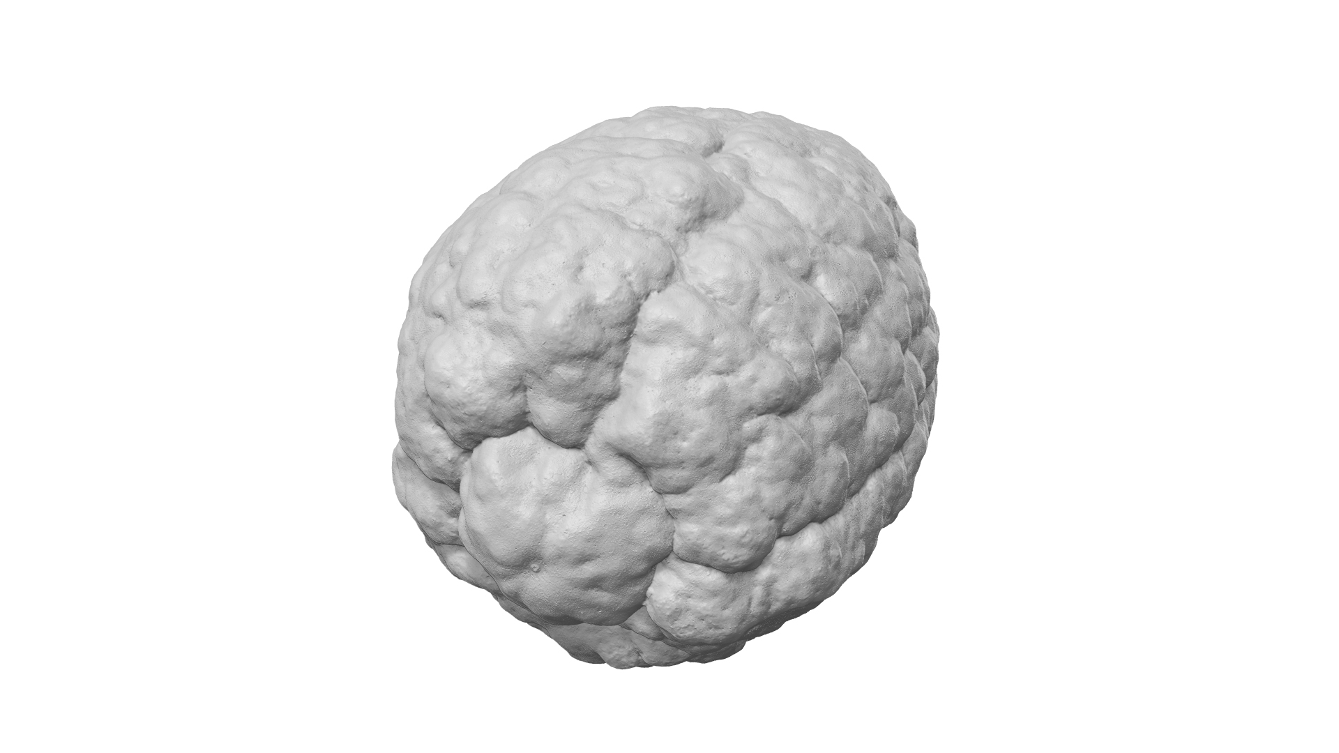 Citron Citrus medica - Extreme Definition 3D Scanned 3D model ...
