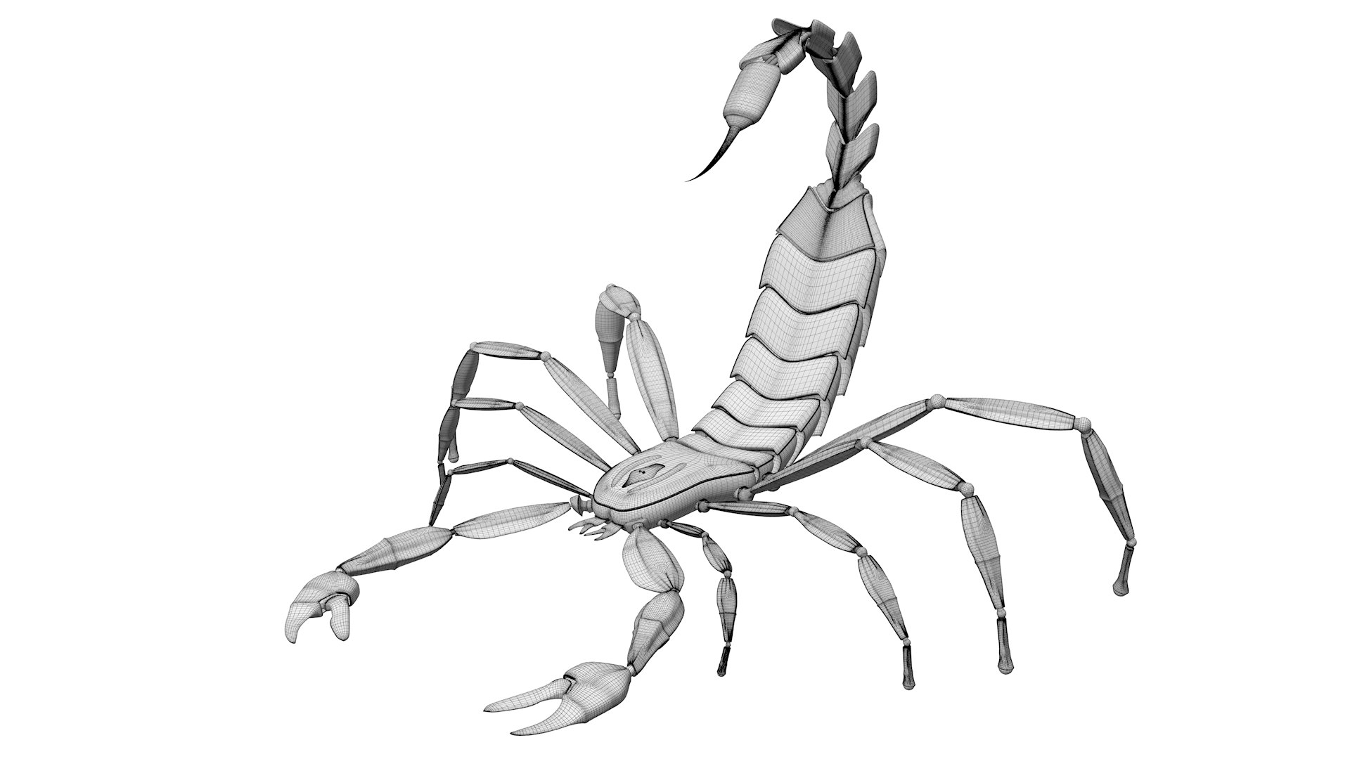 Scorpio 3D model - TurboSquid 1925693