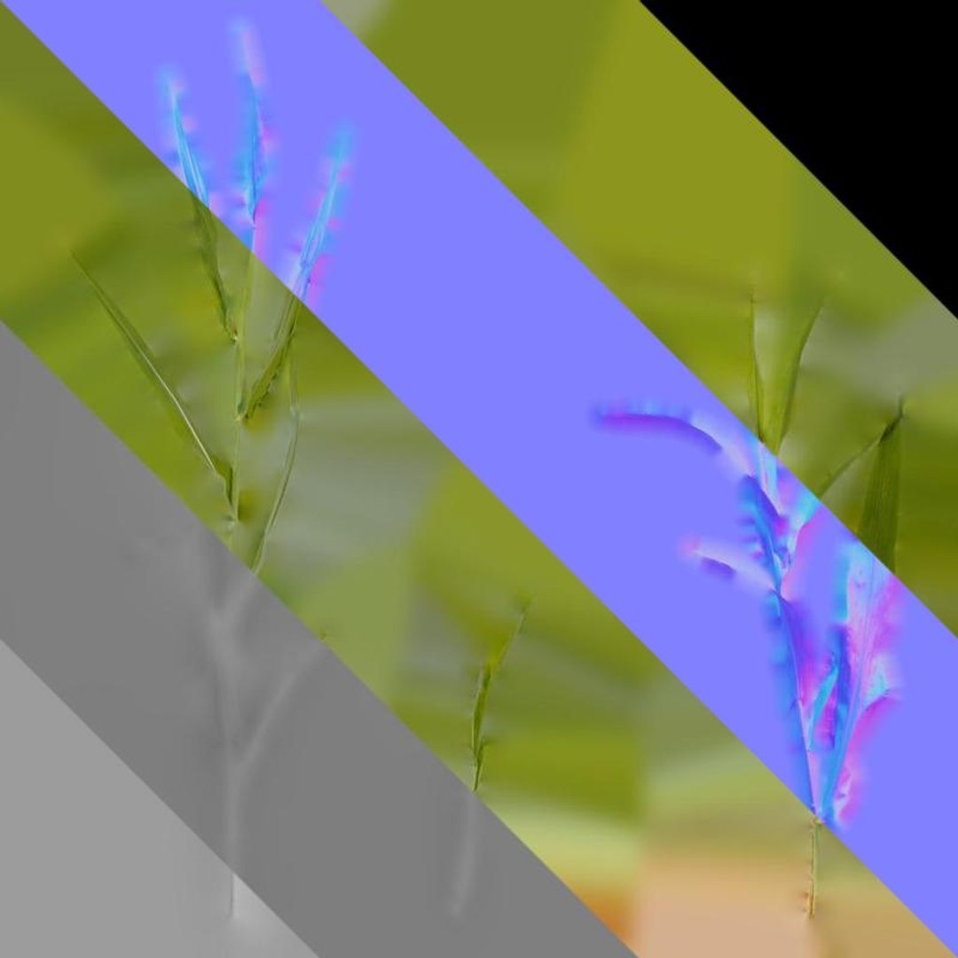 Anydrafts Sorghum Bicolor Atlas 01 Textures 3D Model - TurboSquid 2350522