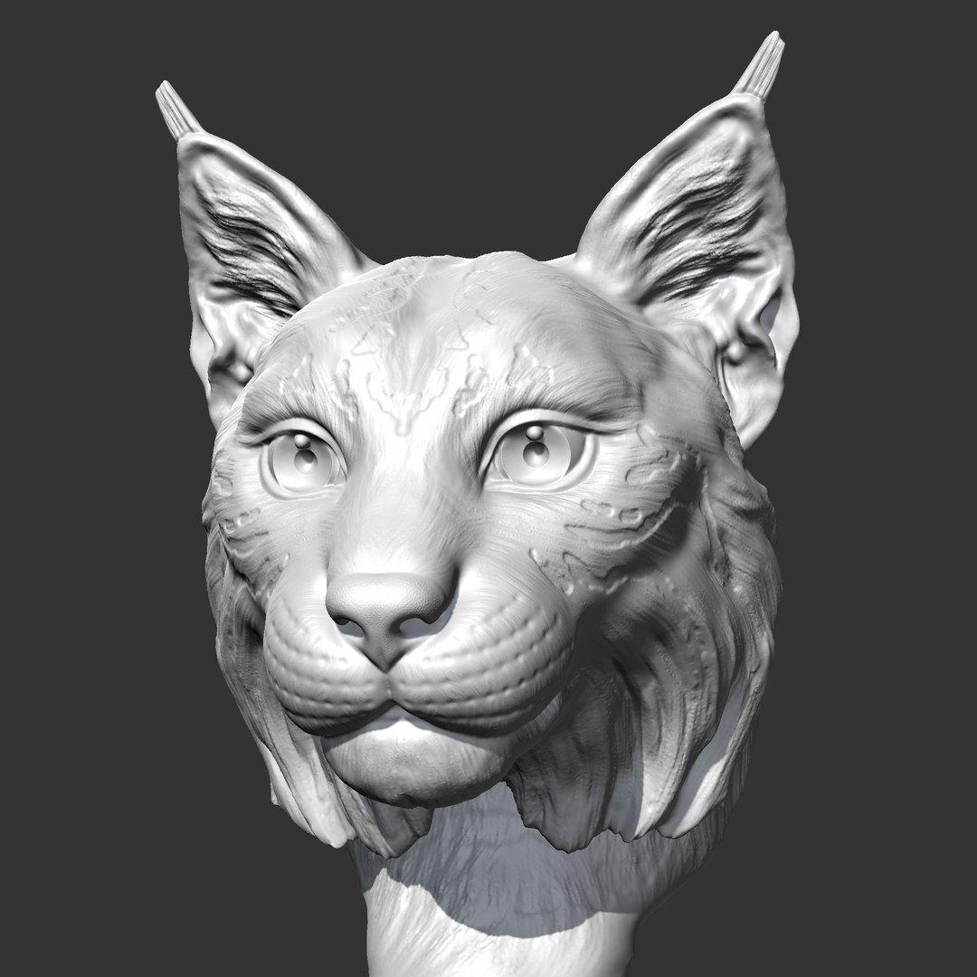 3D Lynx Head AM18 - TurboSquid 2075764