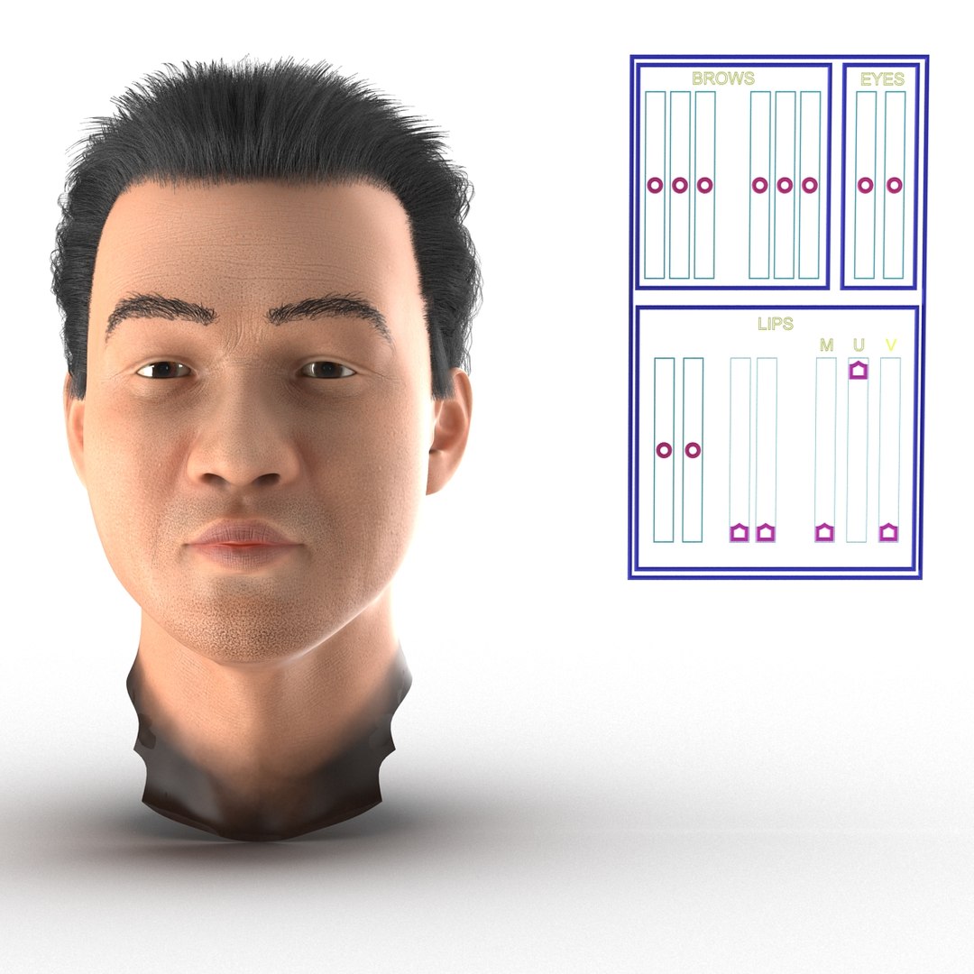 asian male head rigged ma
