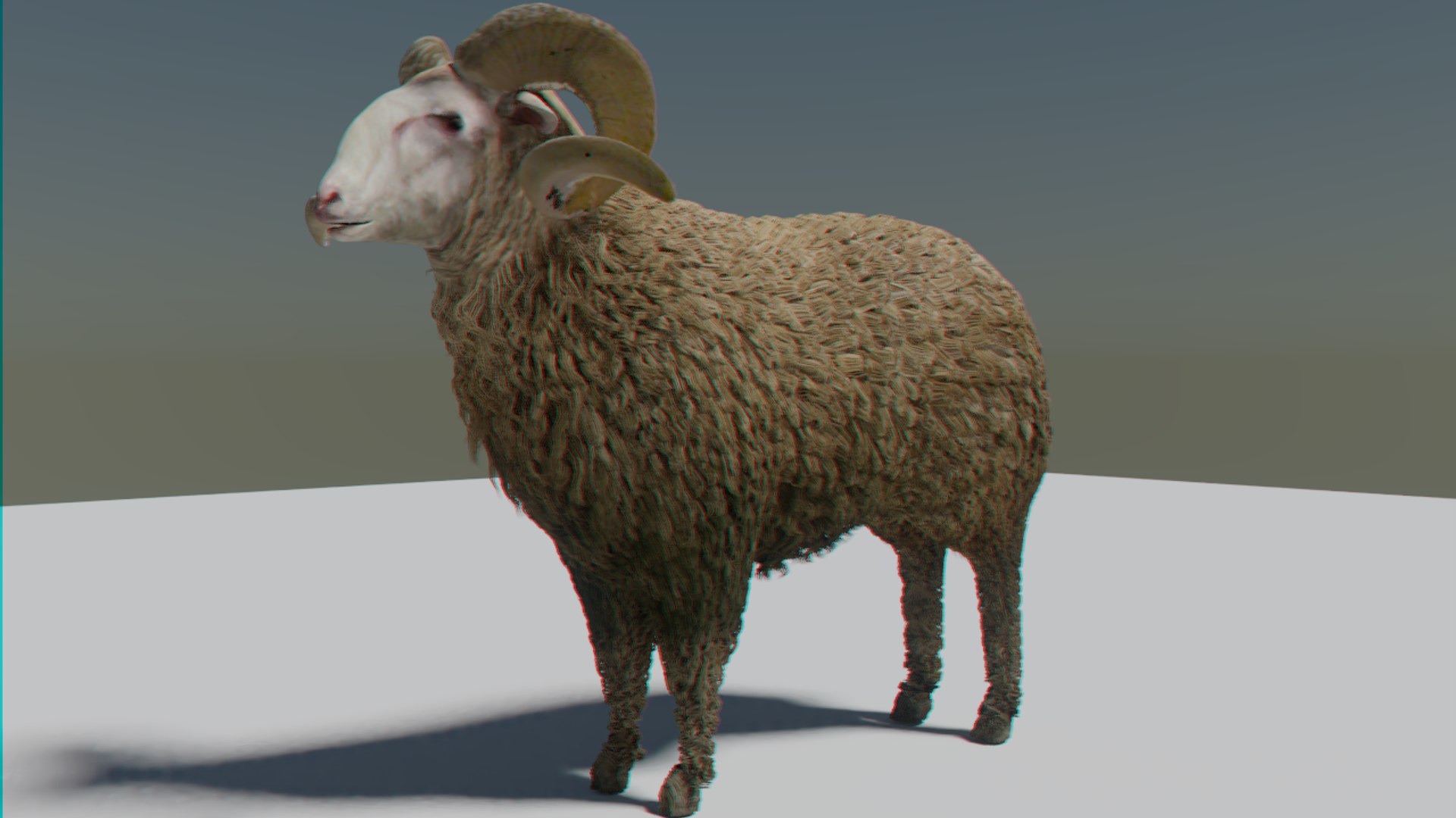 Sheep Blender 3D Model - TurboSquid 1305925