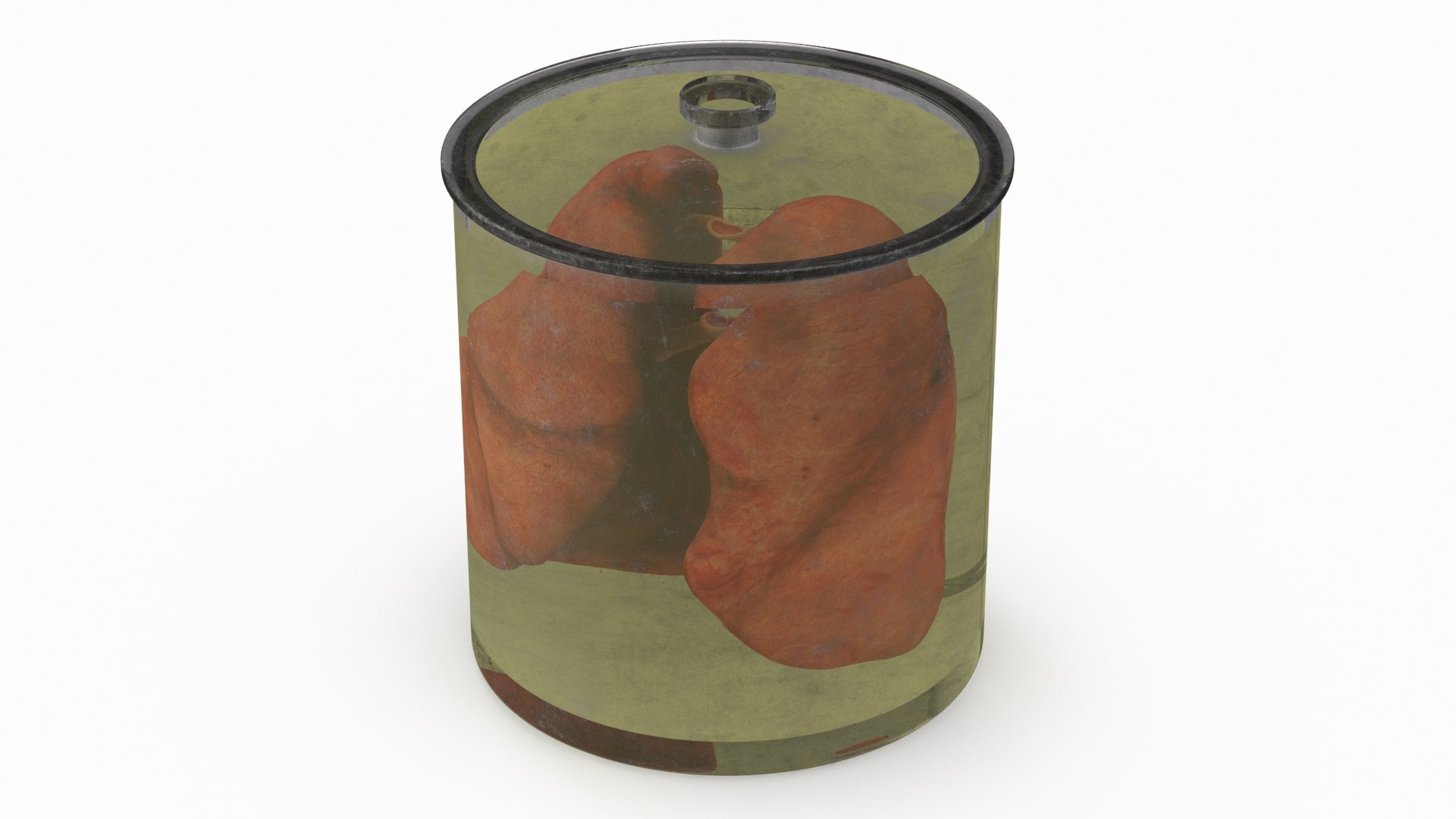 3D Human Lungs In Old Glass Jar - TurboSquid 2259009