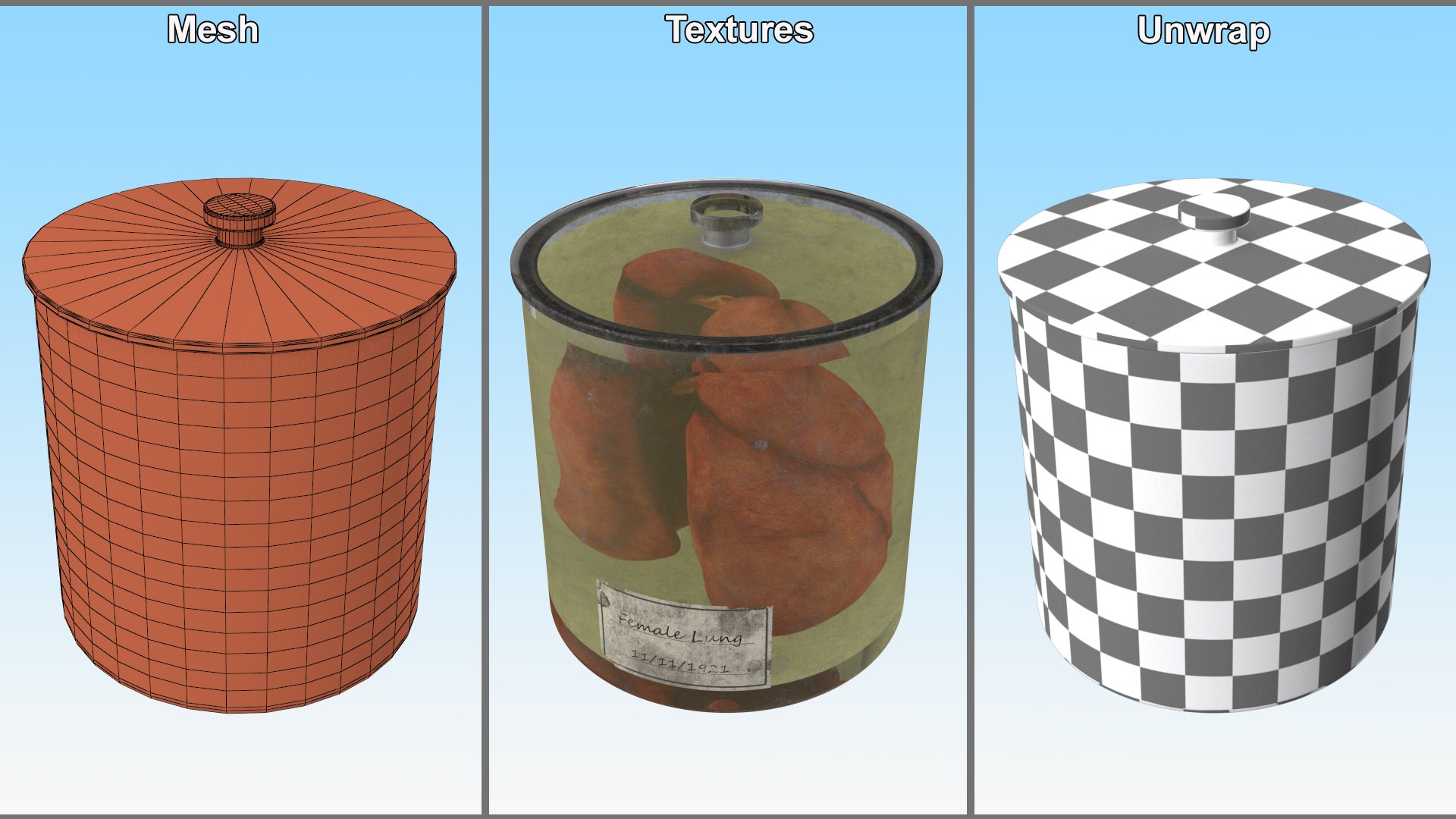 3D Human Lungs In Old Glass Jar - TurboSquid 2259009