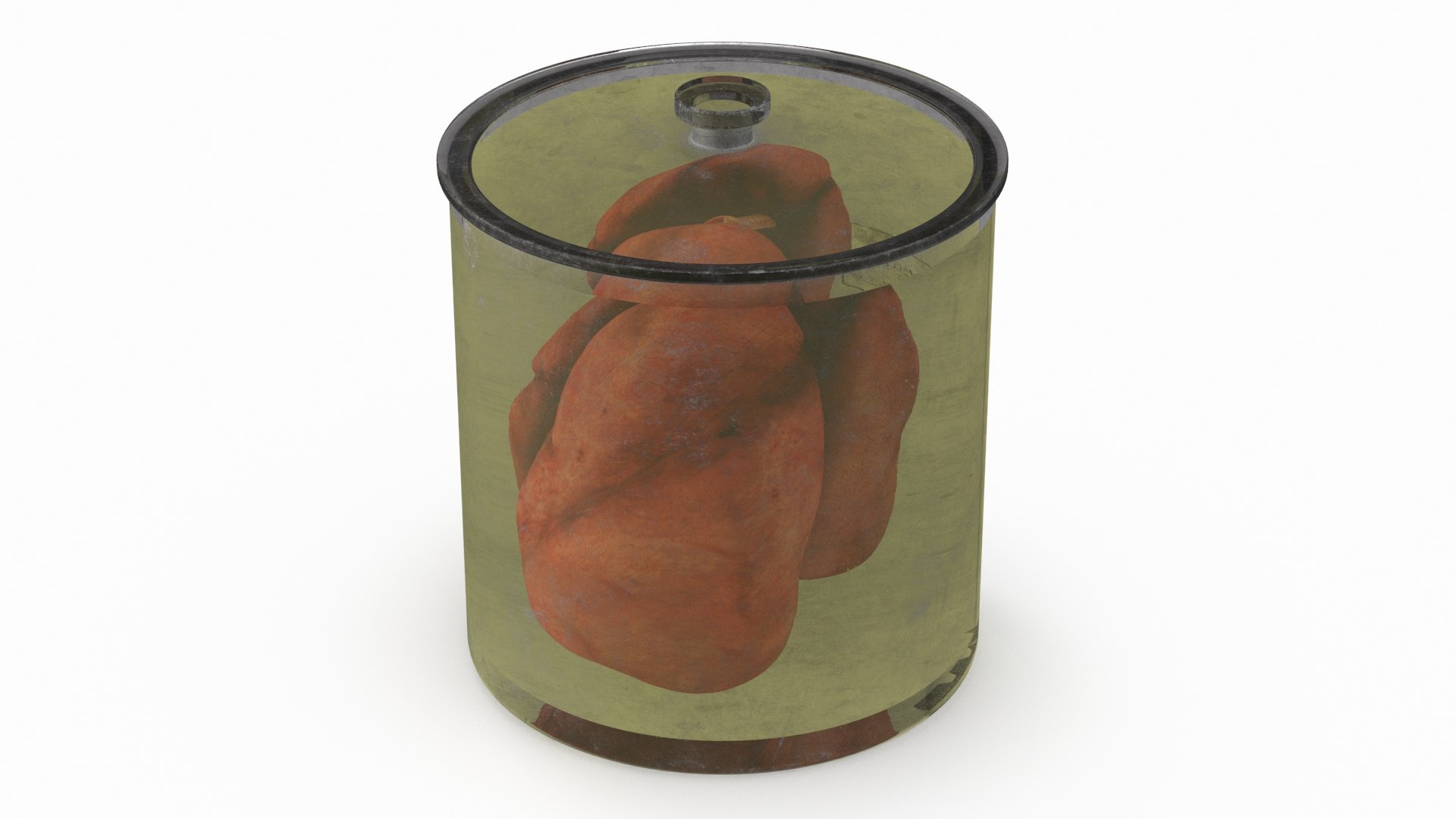 3D Human Lungs In Old Glass Jar - TurboSquid 2259009