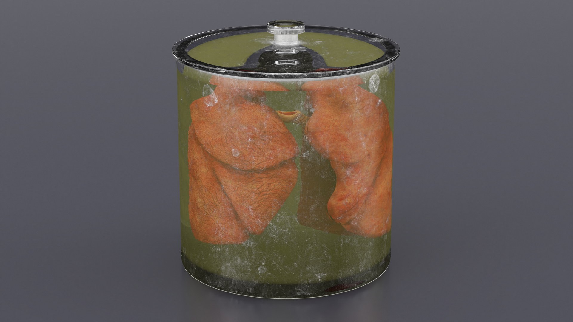 3D Human Lungs In Old Glass Jar - TurboSquid 2259009