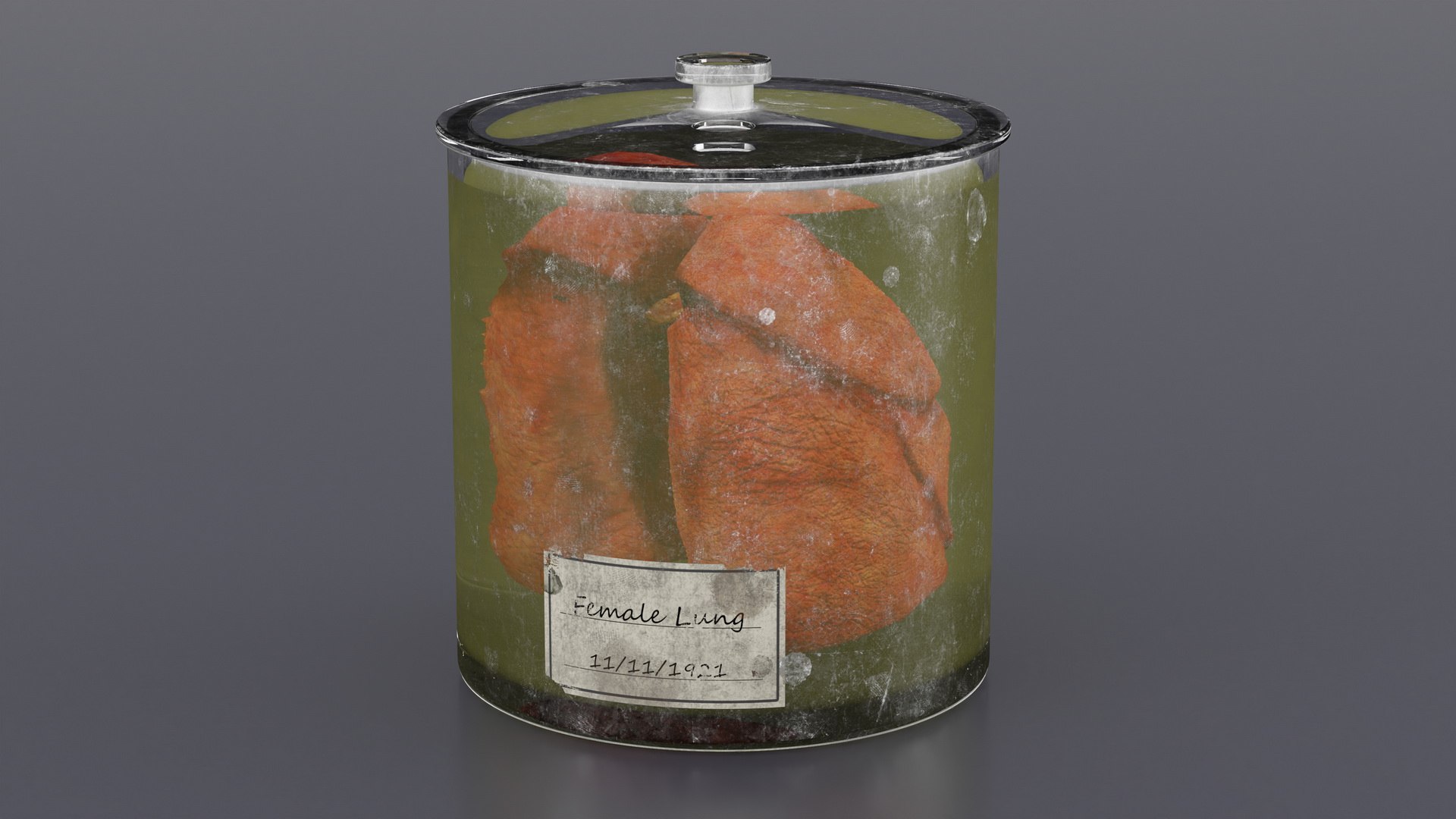 3D Human Lungs In Old Glass Jar - TurboSquid 2259009