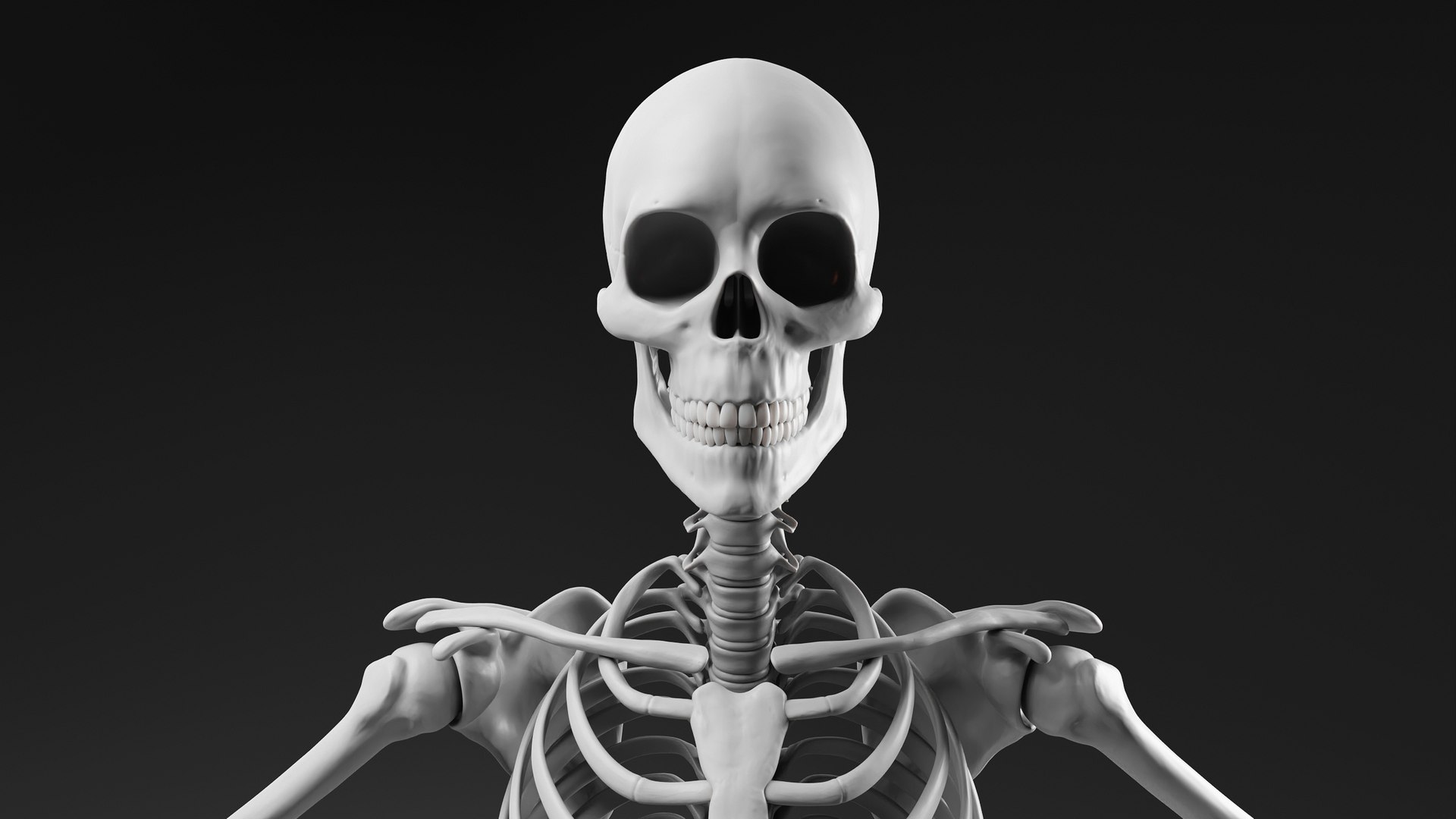 Skeleton Basemesh 3D Model - TurboSquid 2164666
