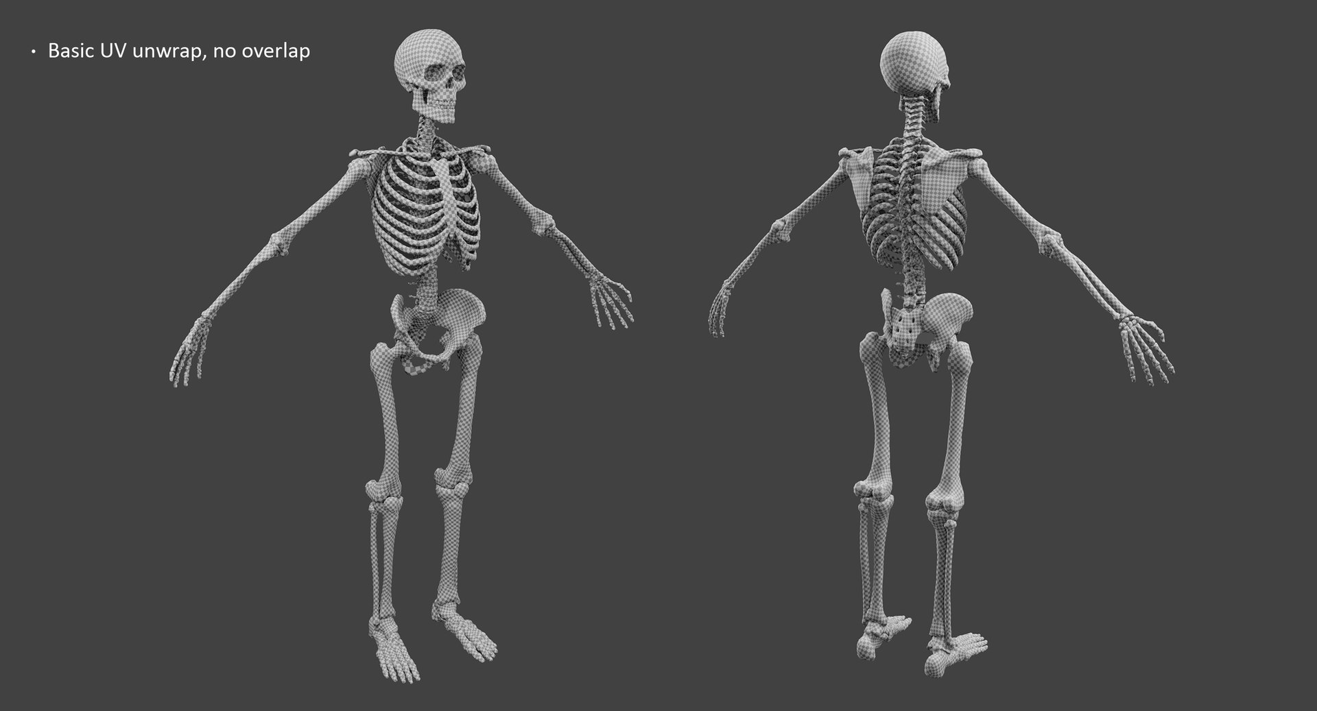Skeleton Basemesh 3D Model - TurboSquid 2164666