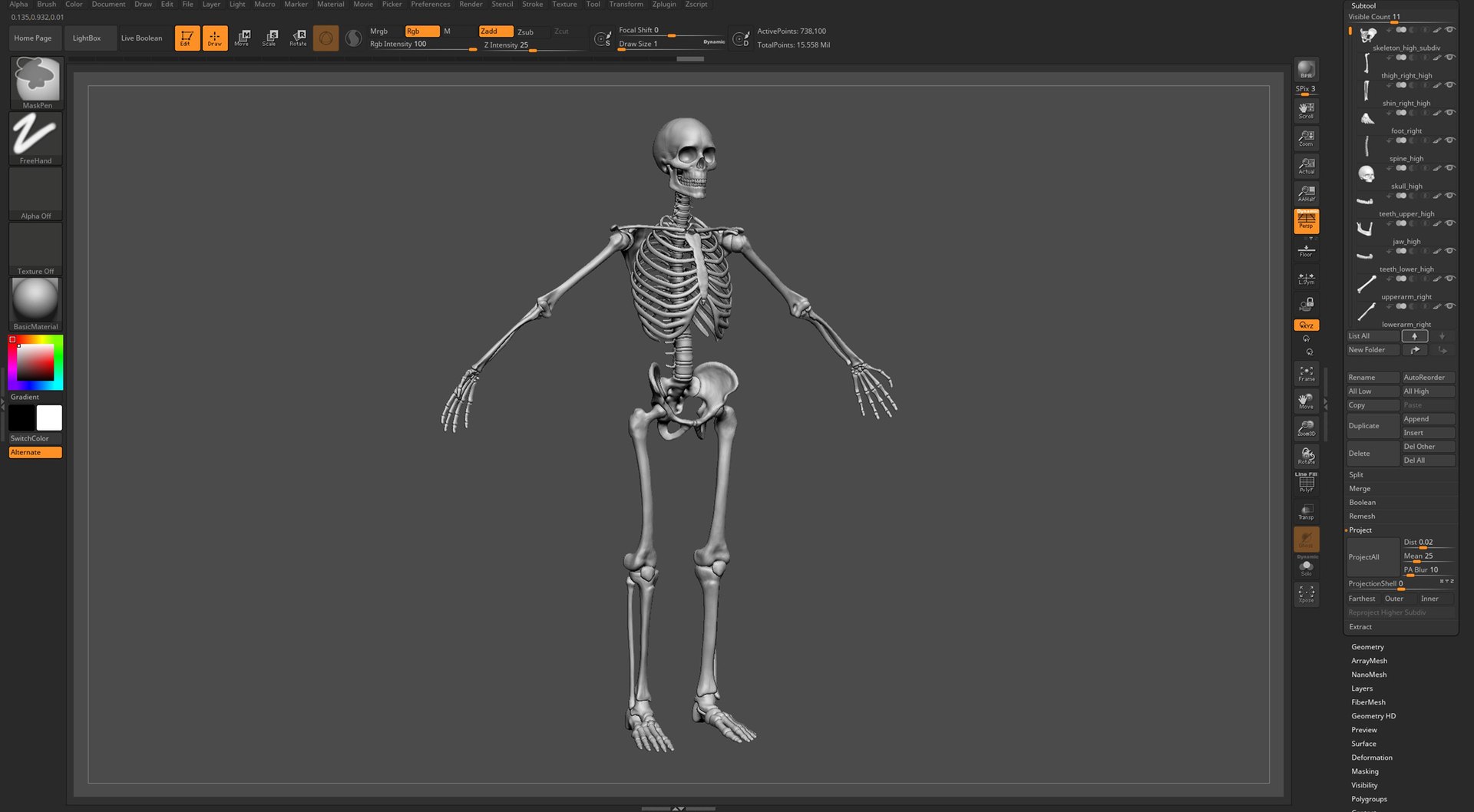 Skeleton basemesh 3D model - TurboSquid 2164666