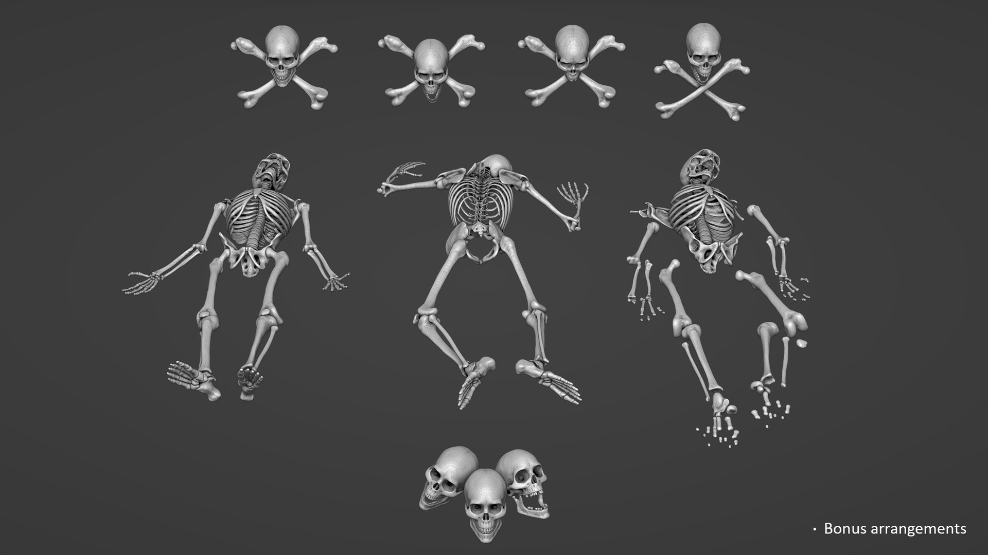 Skeleton basemesh 3D model - TurboSquid 2164666