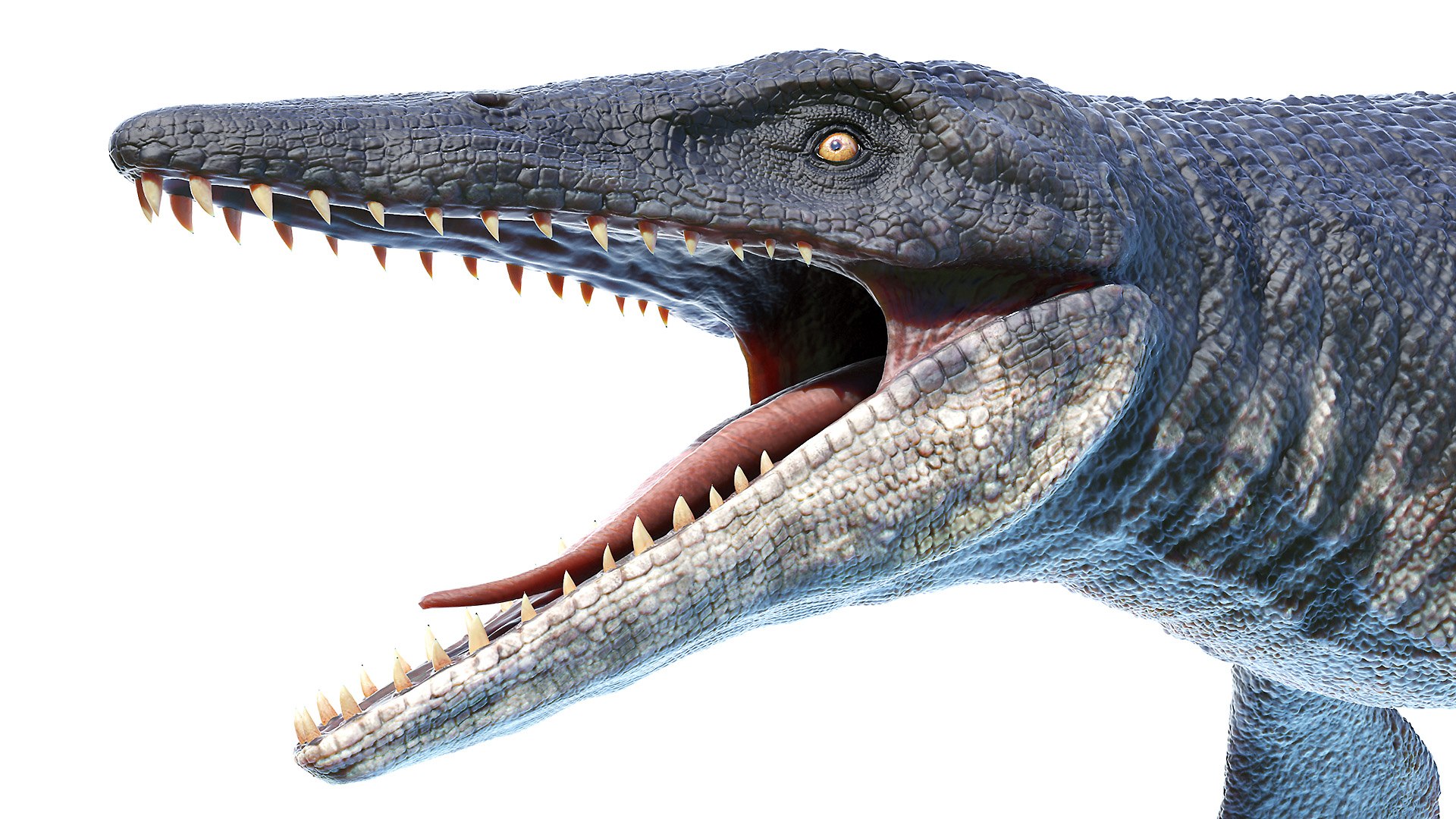 Tylosaurus 3D Model - TurboSquid 1641409