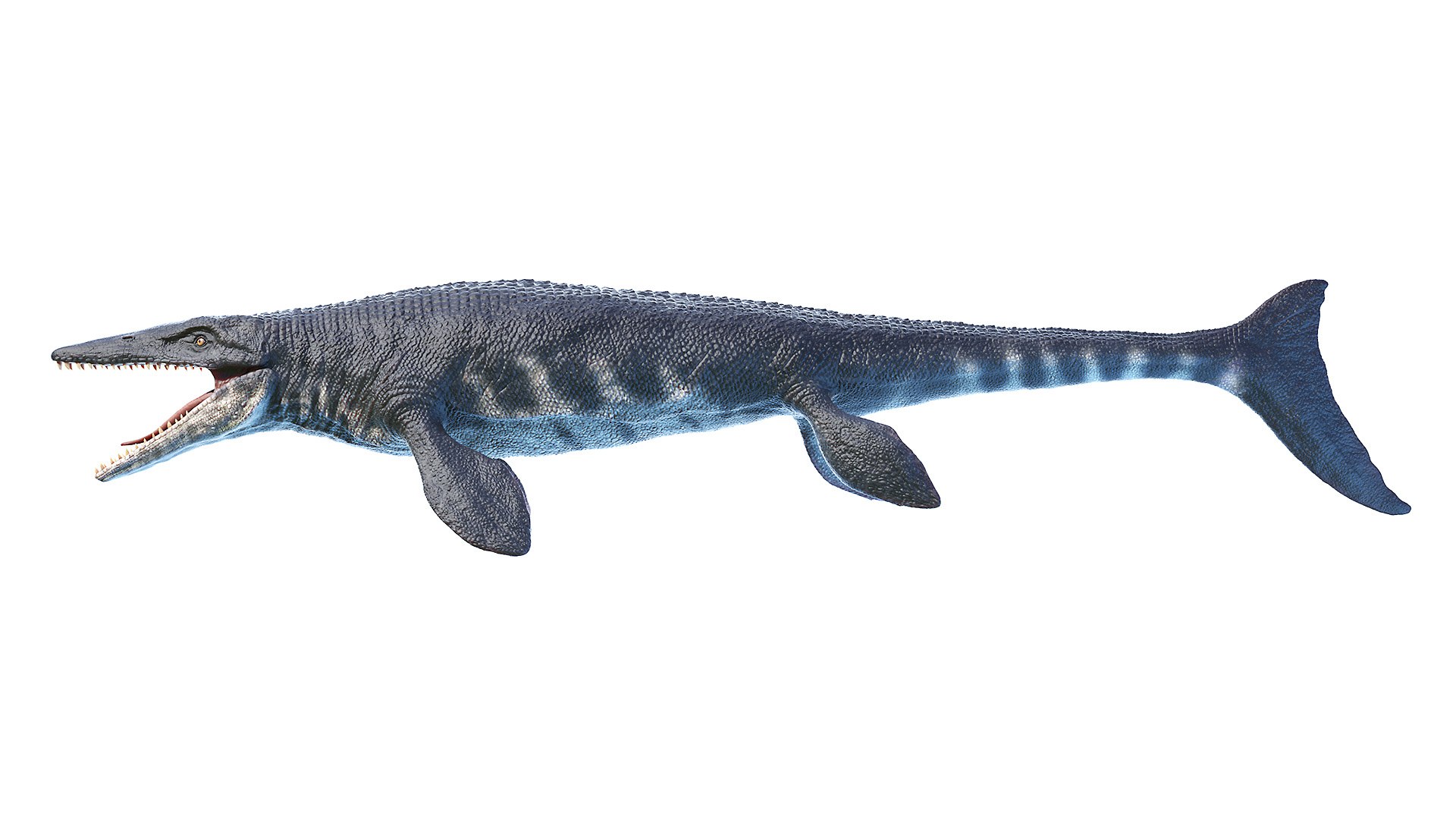 Tylosaurus 3D Model - TurboSquid 1641409