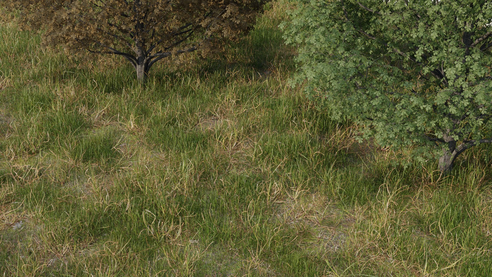 Arbre Realiste Herbe 3D Model - TurboSquid 2110275