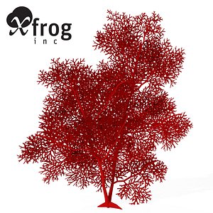 3d model of xfrogplants red sea fan